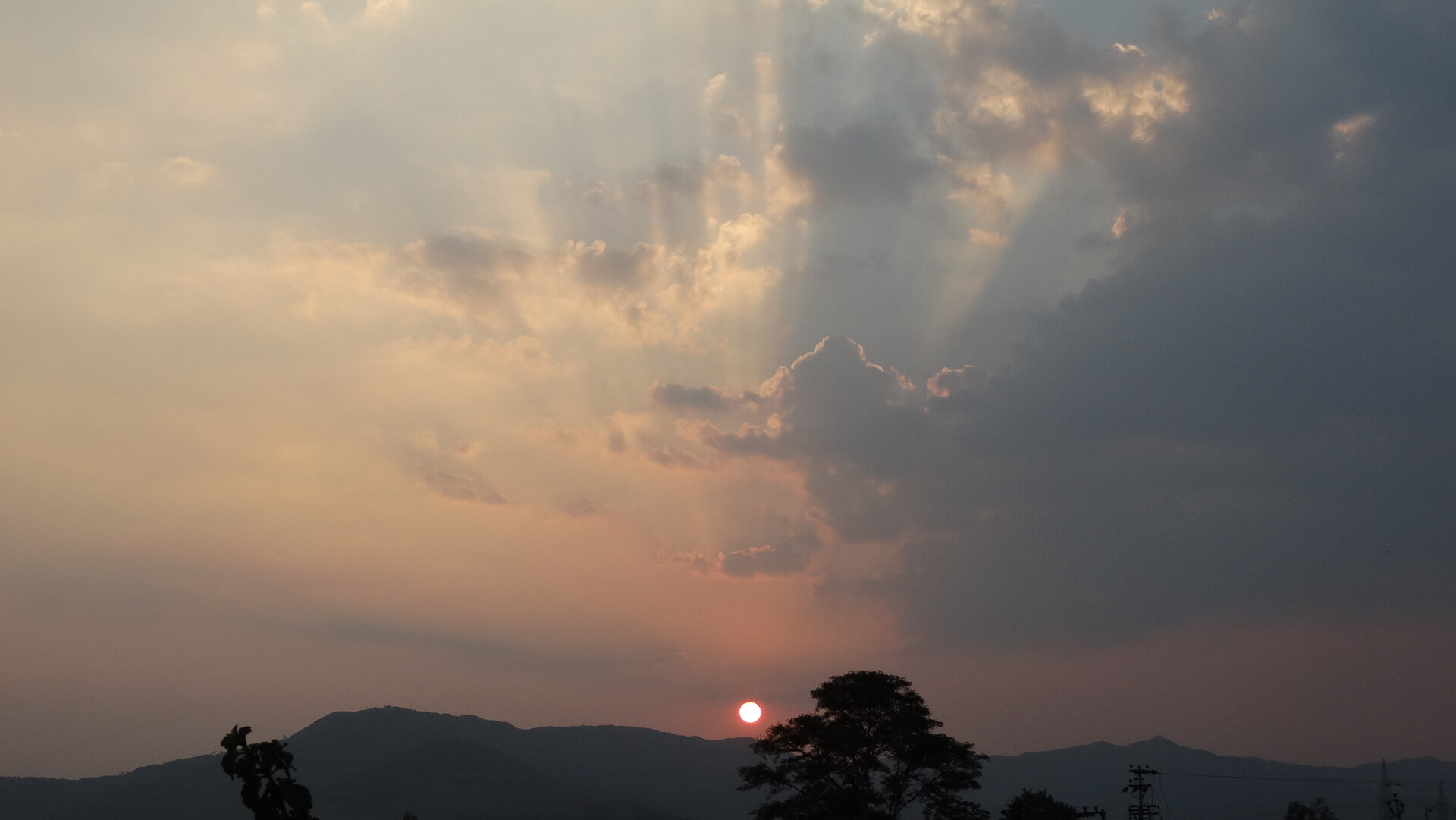 Sharon Moses - Photography