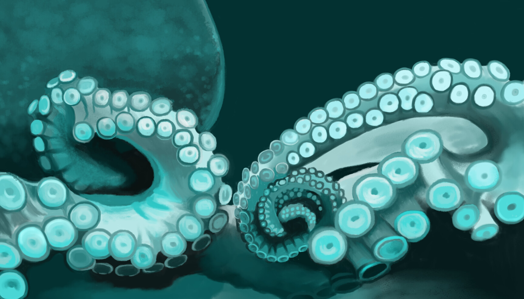 ArtStation - Octopus Photo Study