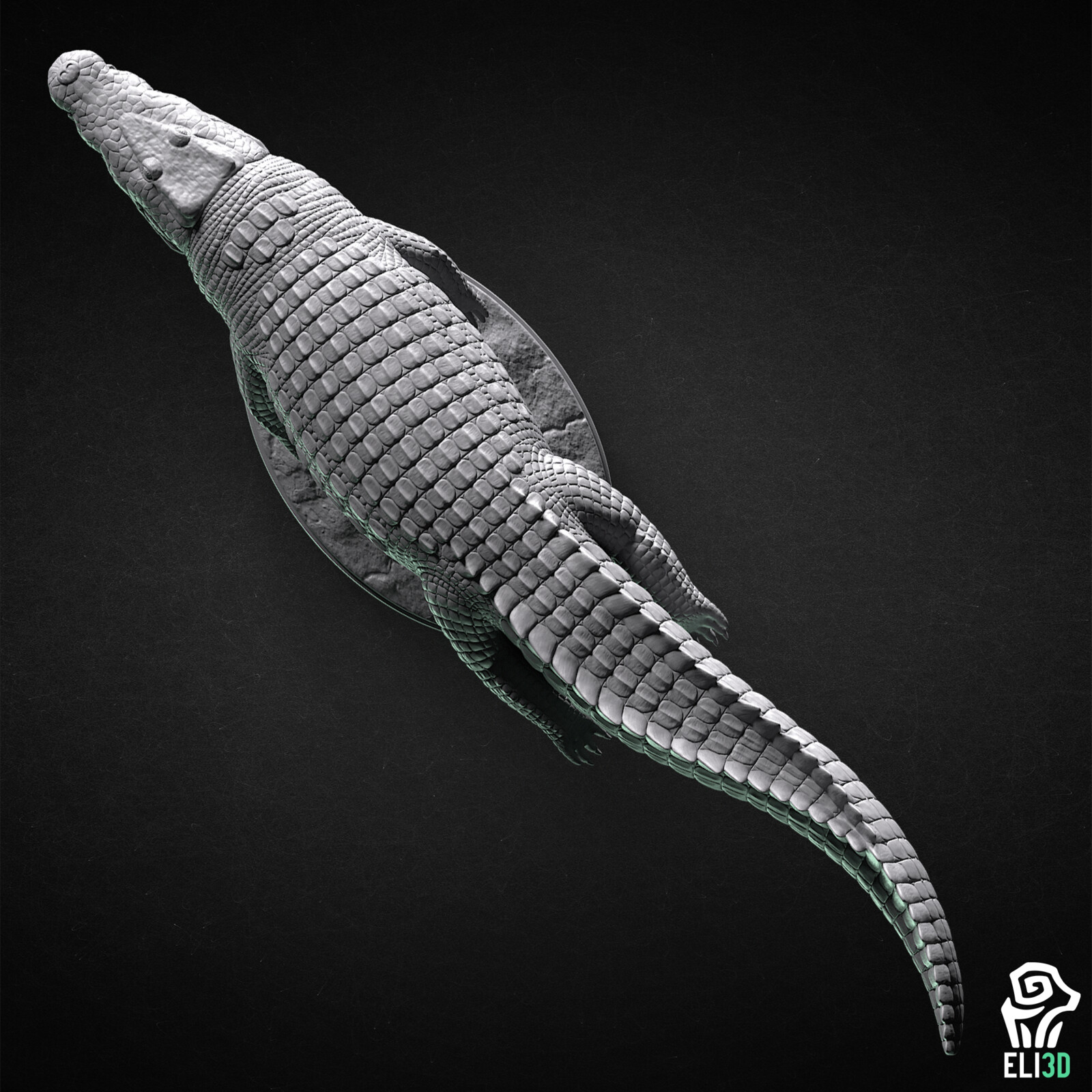 eli3D - Crocodile swimming