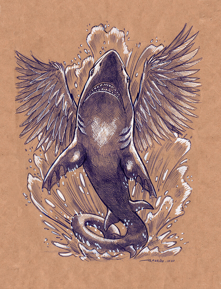 ArtStation - Wing shark