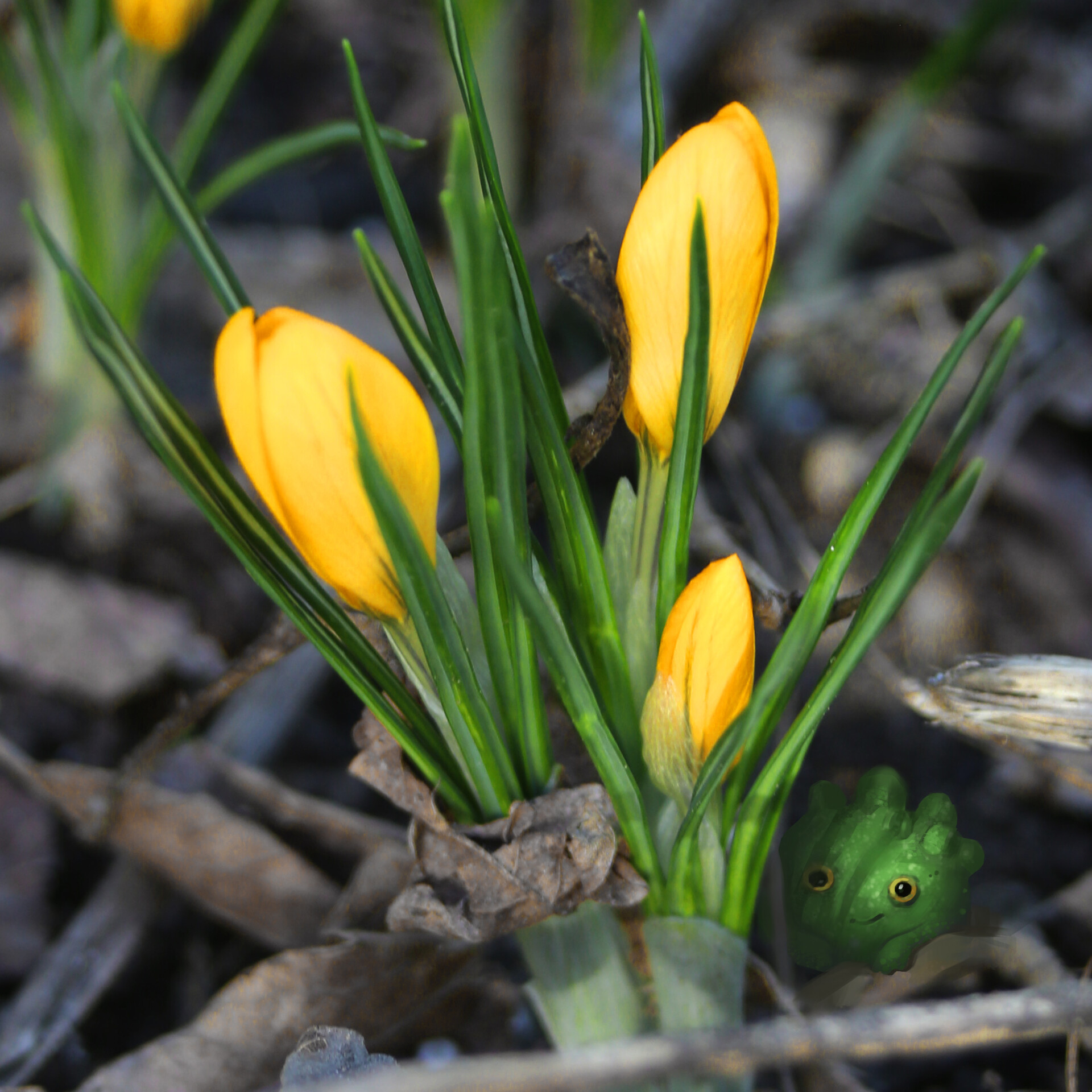 ArtStation - Crocus tiad