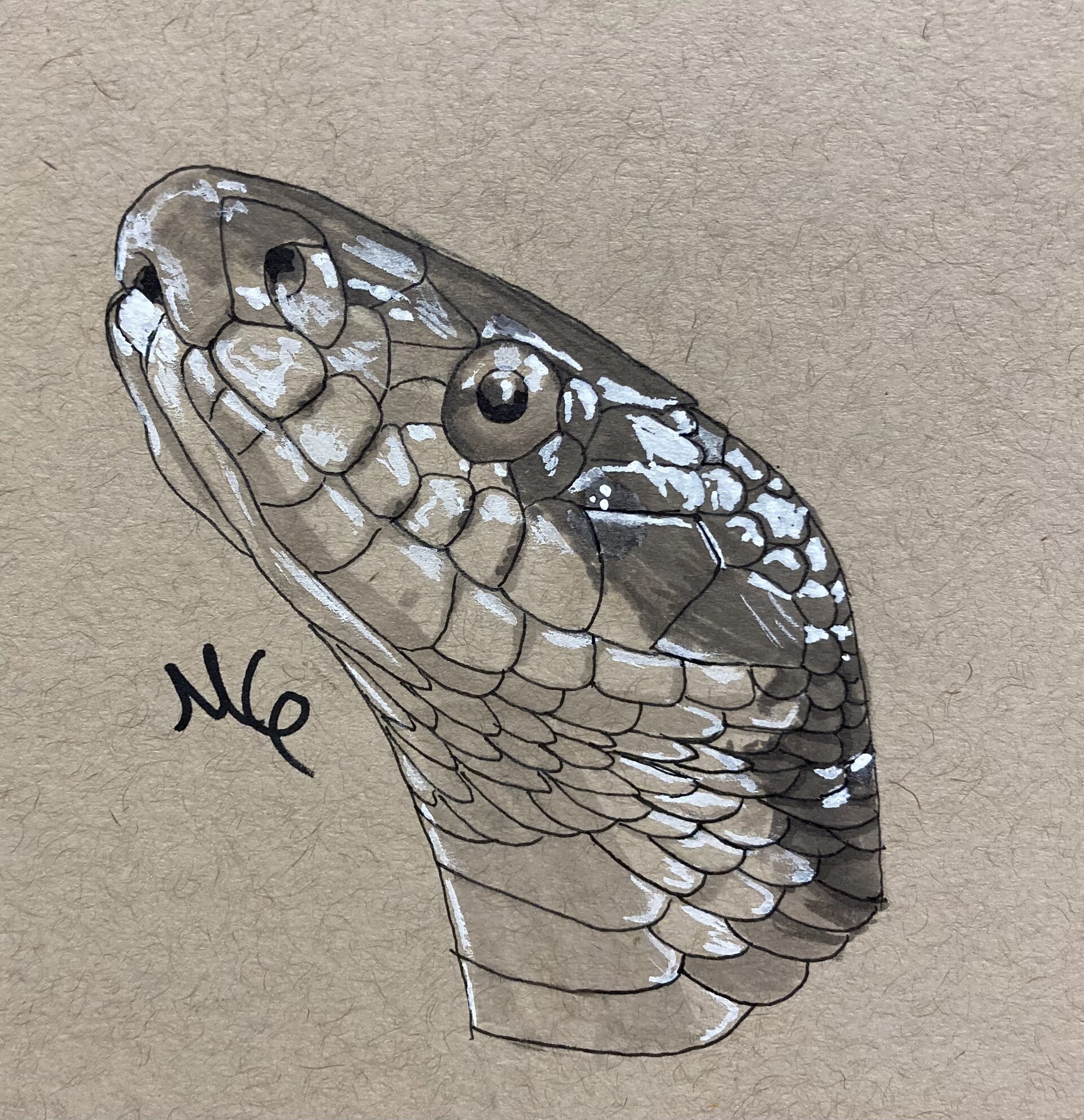 ArtStation - Scarlet