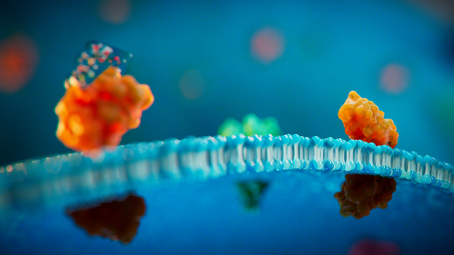 Sachin Mohanan - Medical animation look-dev & renders