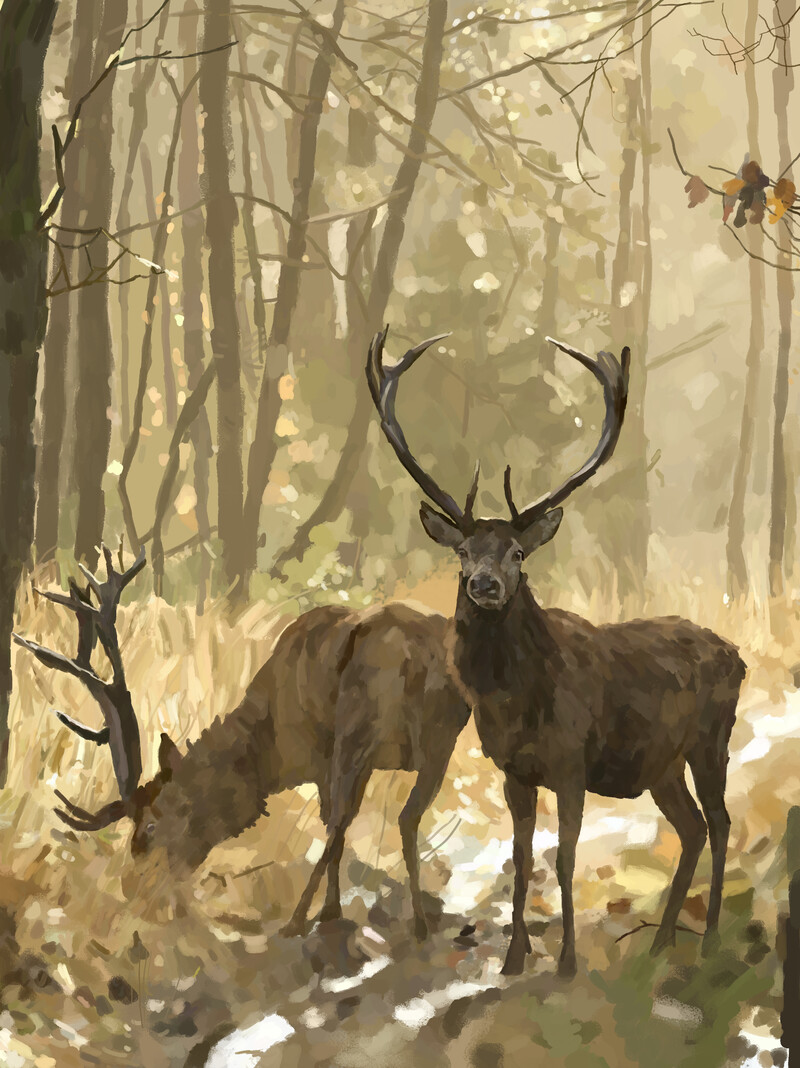 ArtStation - Alexander