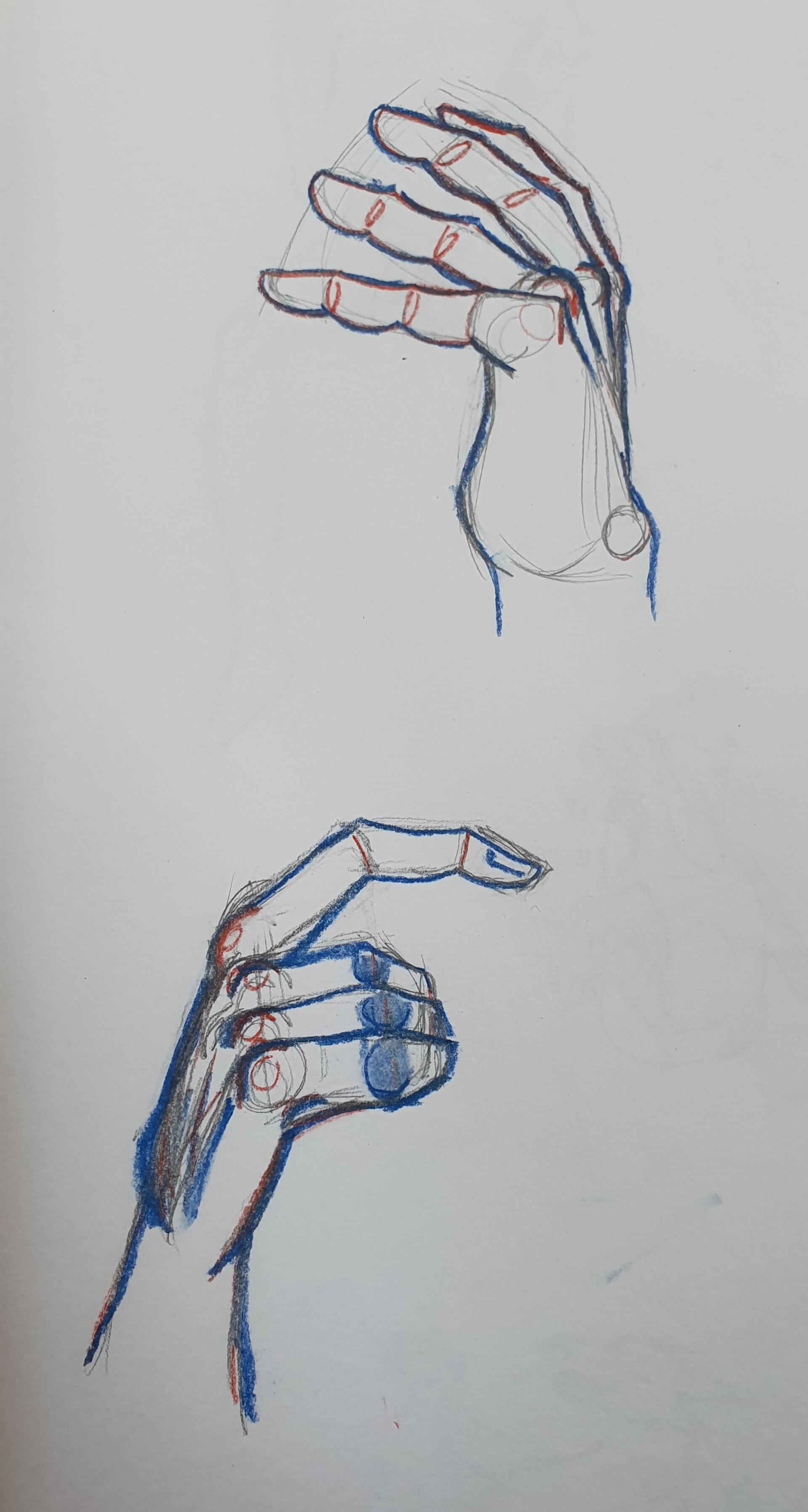 ArtStation - Hand made in life drawing with pencils