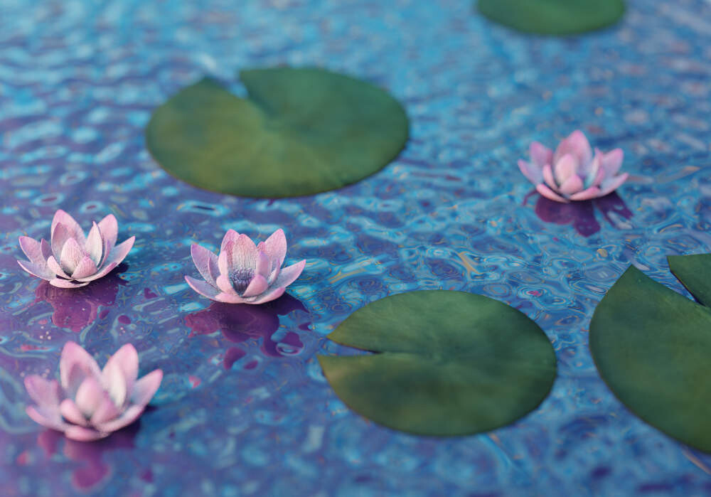 ArtStation - Water lotus