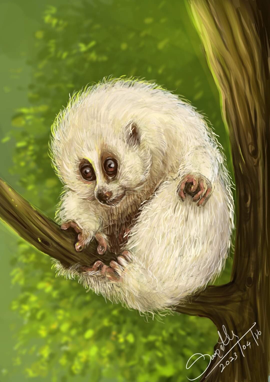 ArtStation - Slow loris monkey
