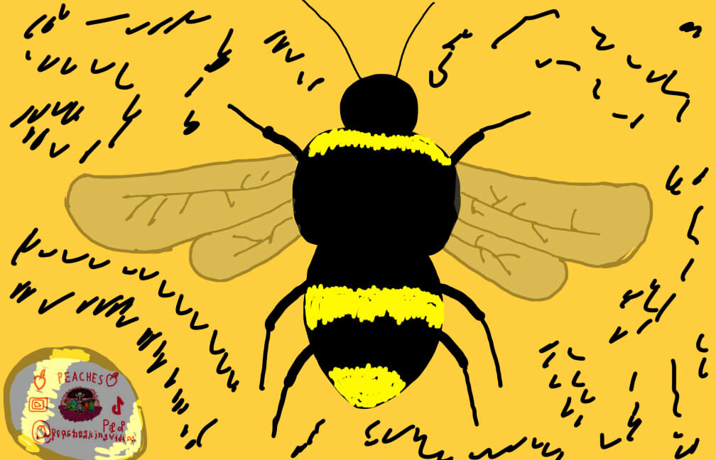 ArtStation - Bumble Bee first attempt in my life!!!