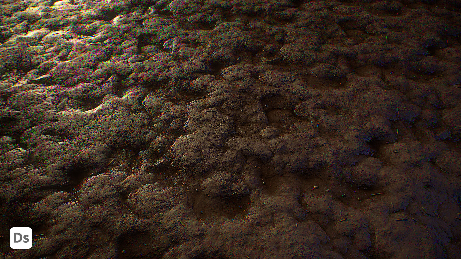Guilhem Carlais - Wet Mud Texture - Substance Designer
