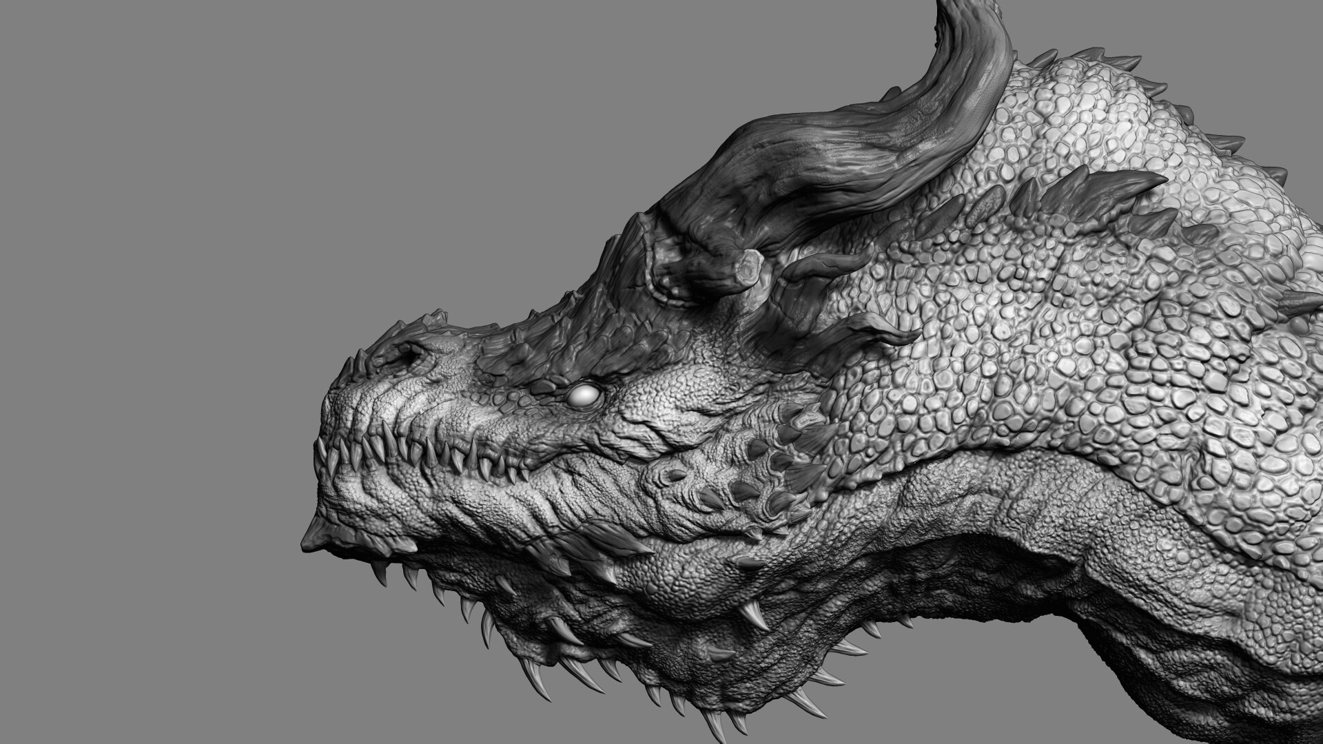 Nicolas Swijngedau Character Artist - Ancient Wyrm