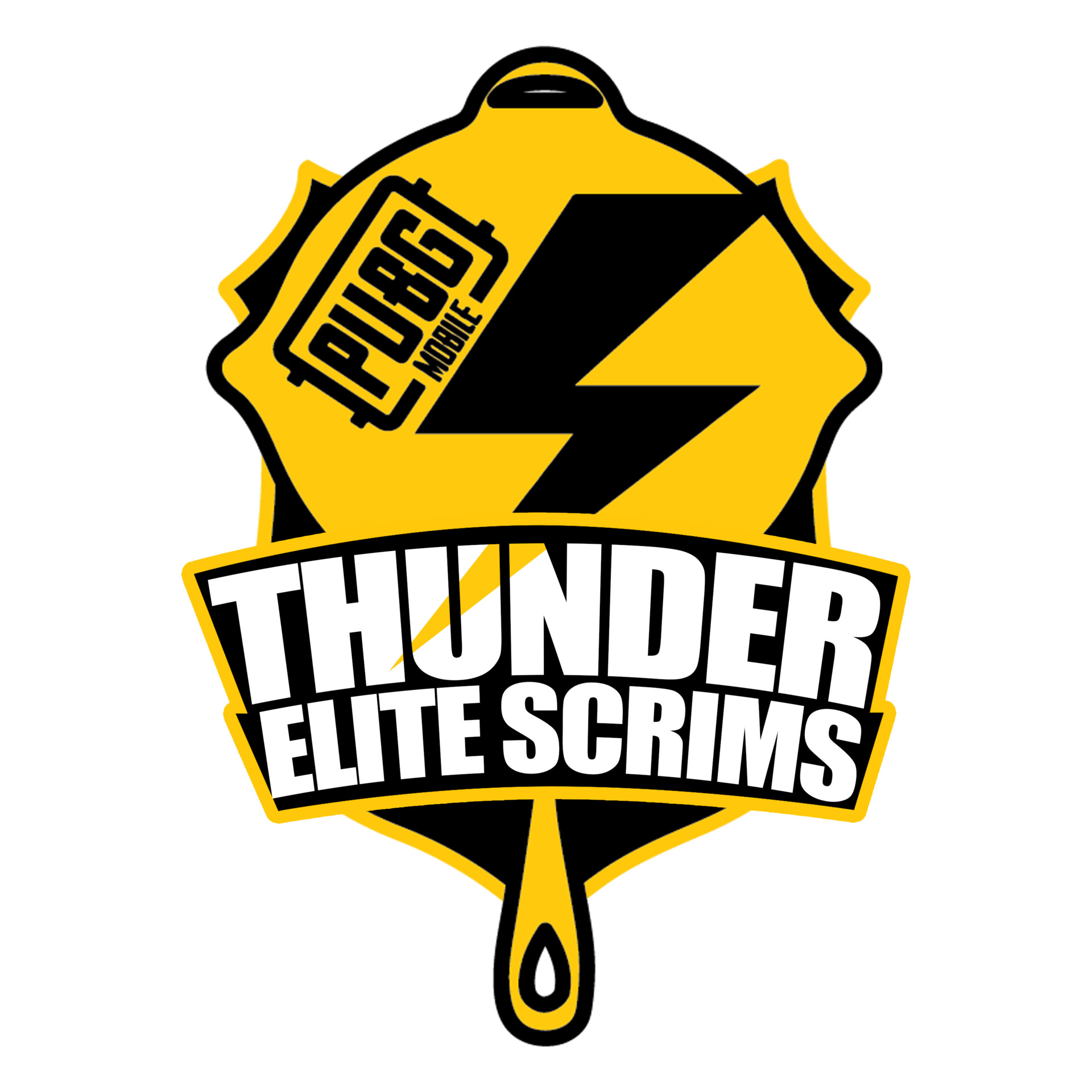ArtStation - Thunder Elite Scrims Logo