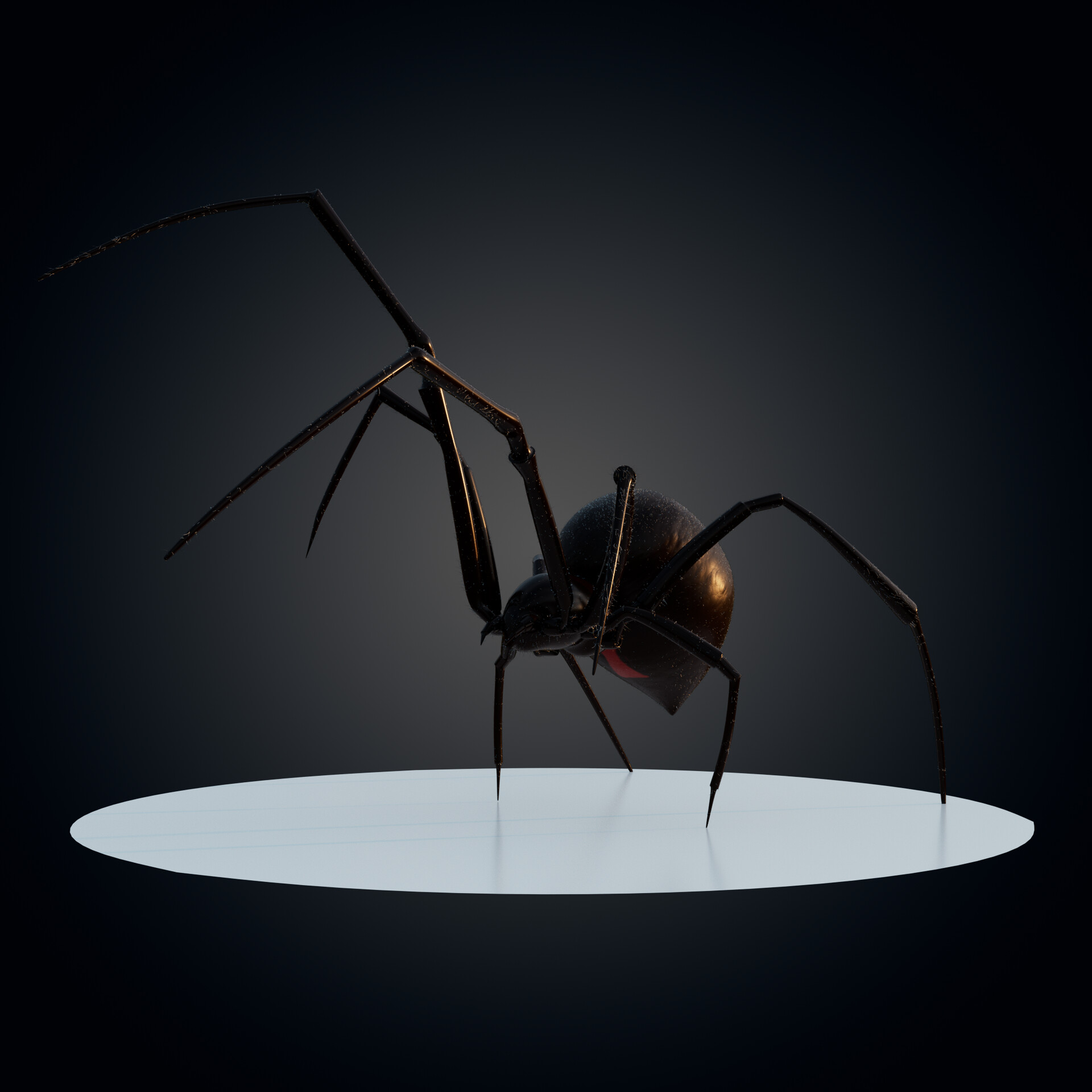 ArtStation - More spiders