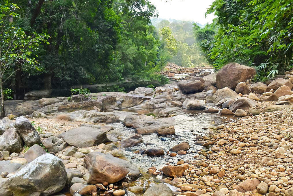 ArtStation - Forest River Stream