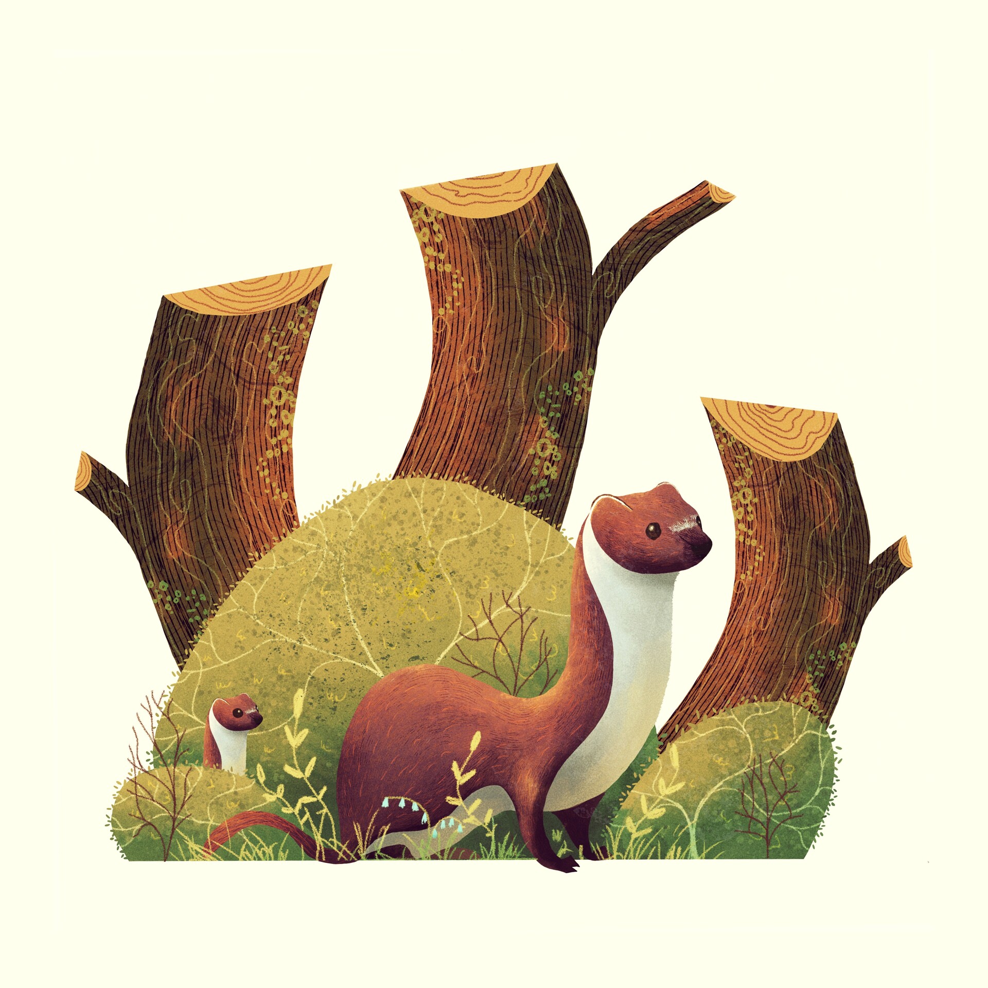 ArtStation - Weasels