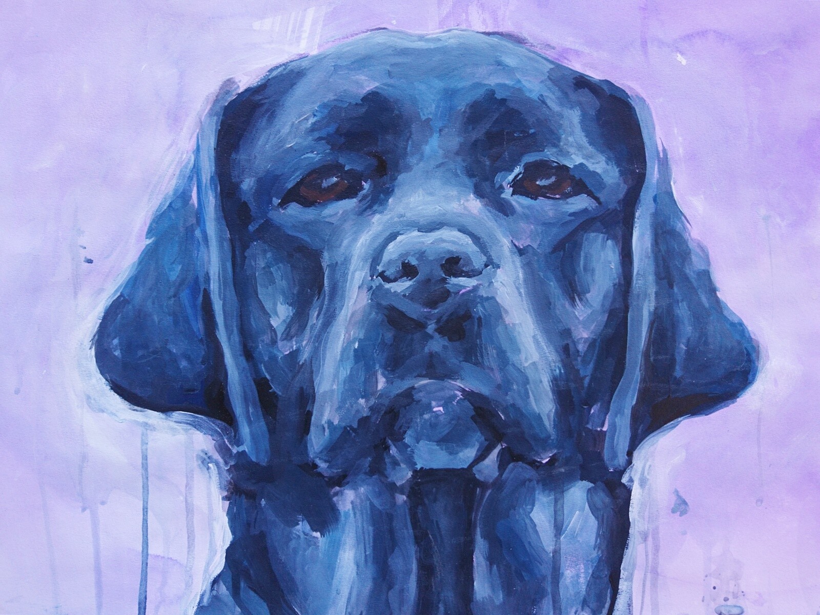 ArtStation - Blue dog