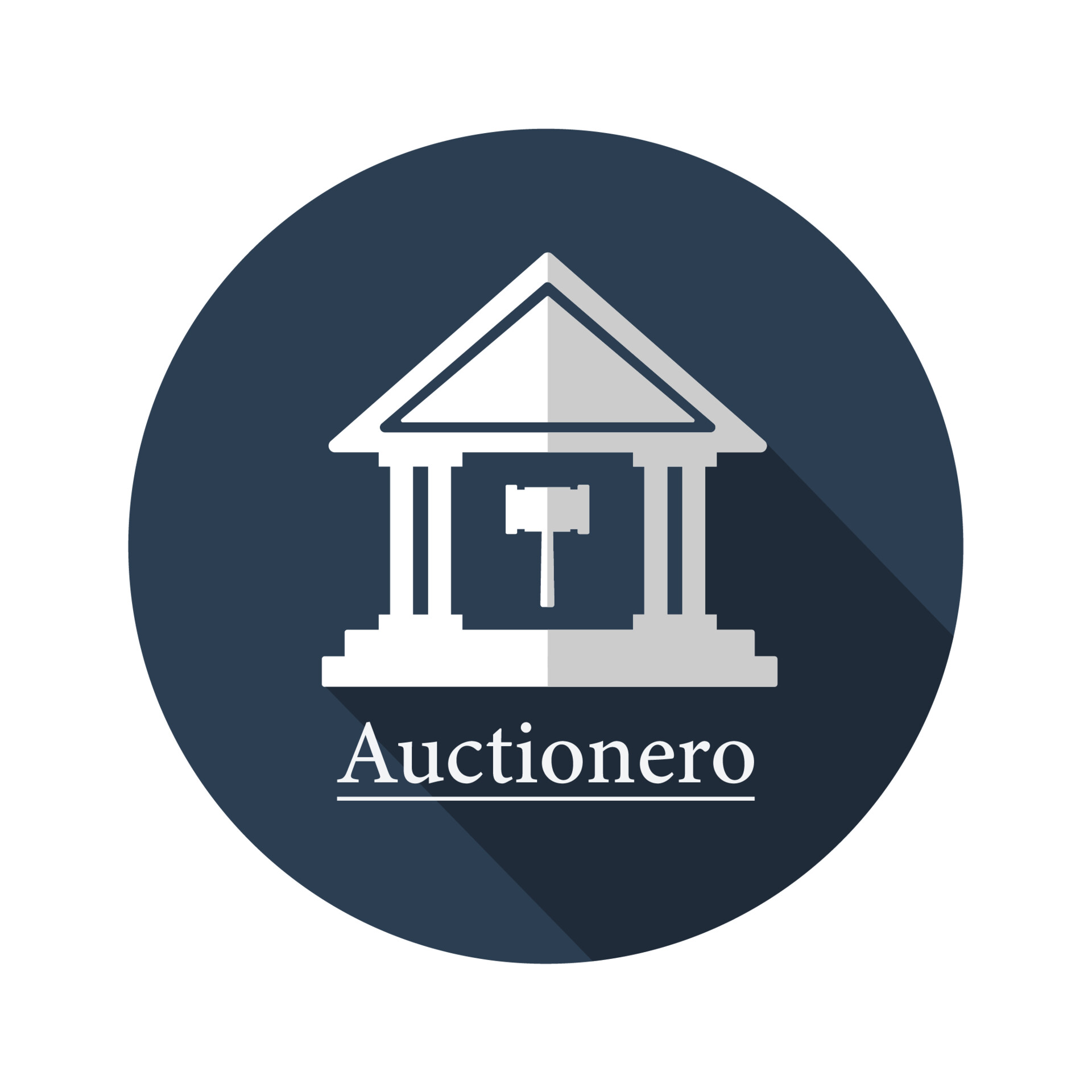 ArtStation - Logo and Splashscreen for software