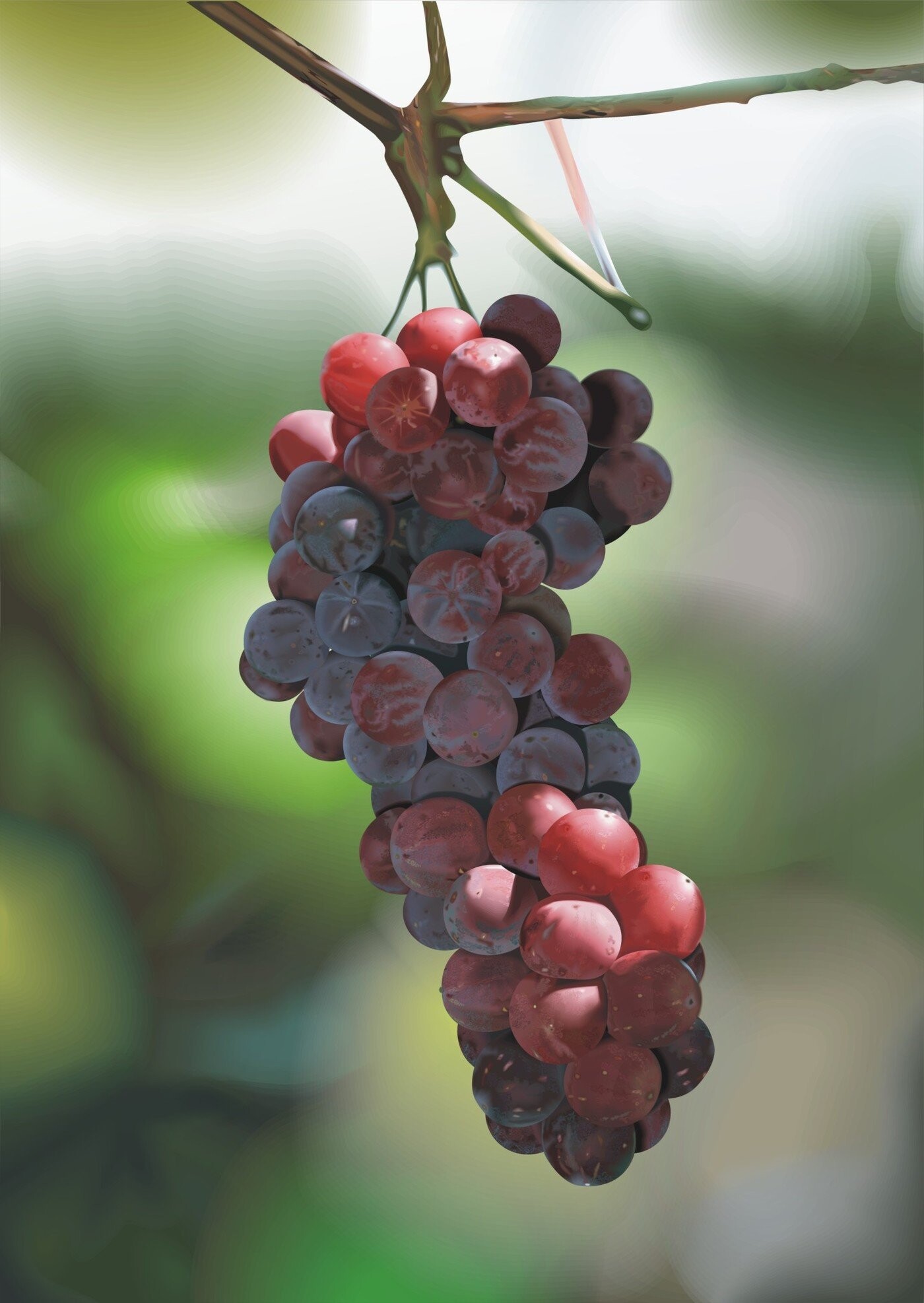 ArtStation - CorelDraw Work