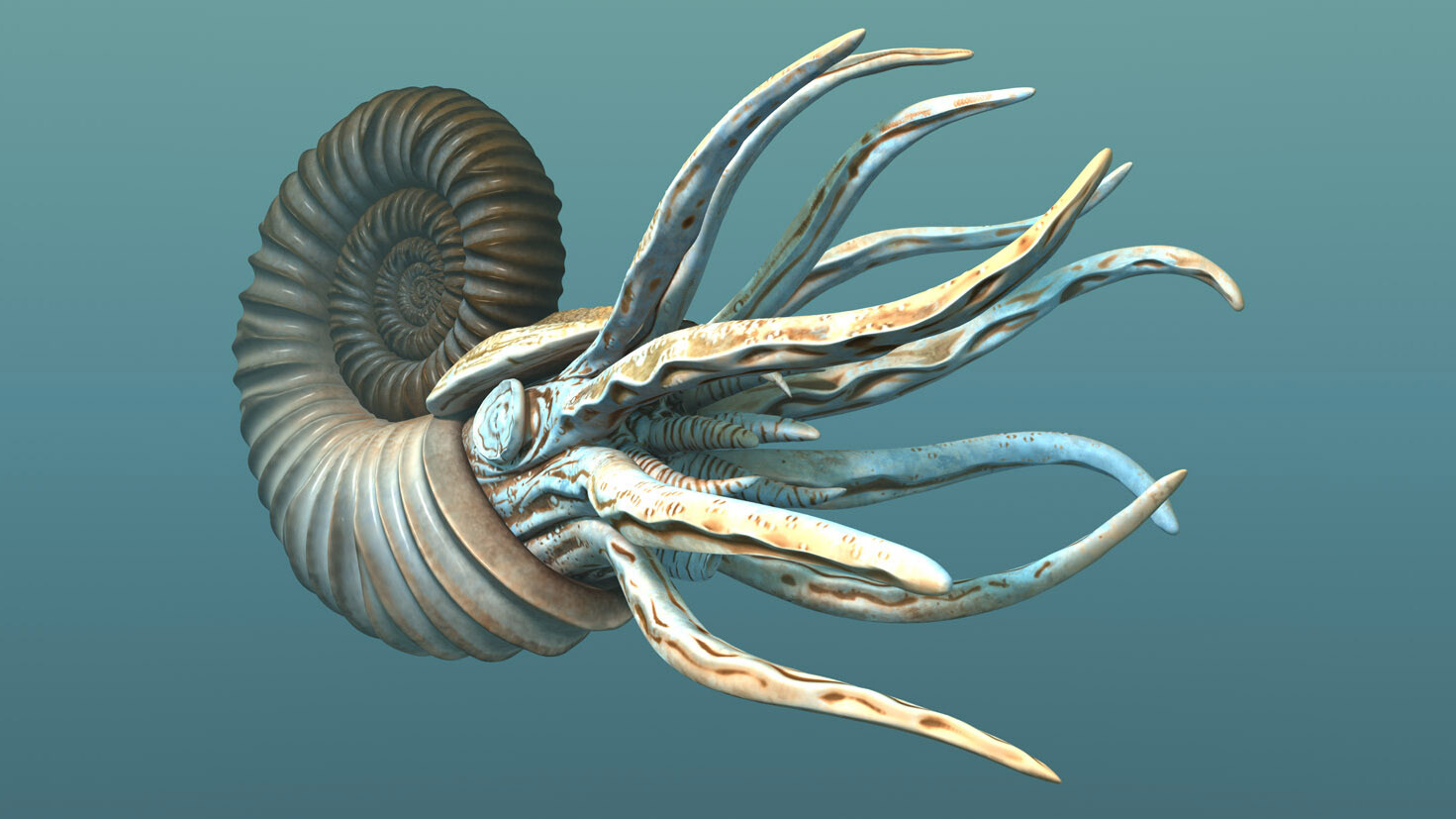 ArtStation - Jurassic Sea Creatures 2009
