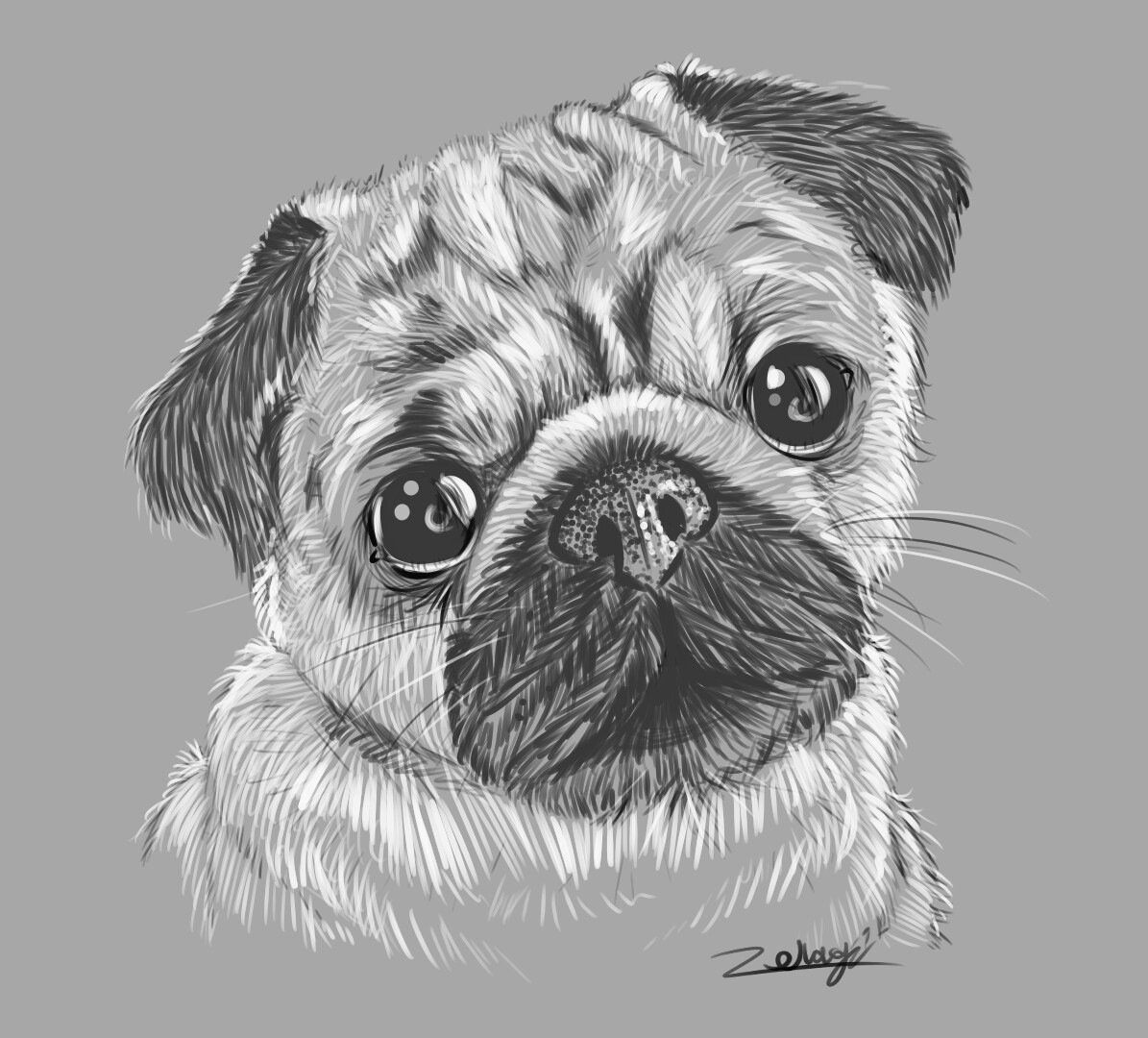 ArtStation - Pet Portrait: Pug