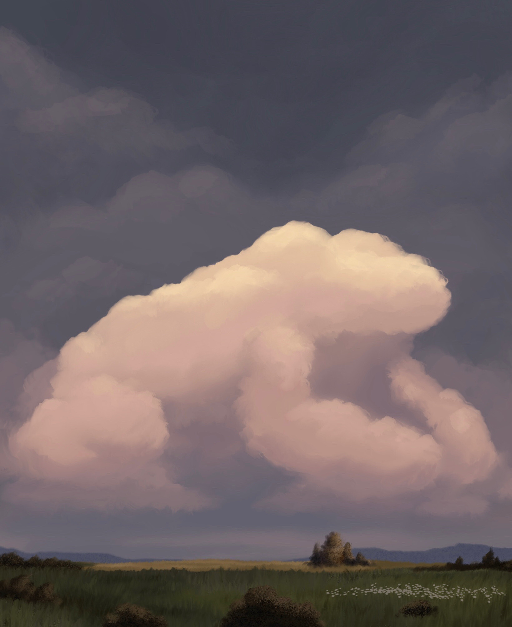 ArtStation - Cloud frog