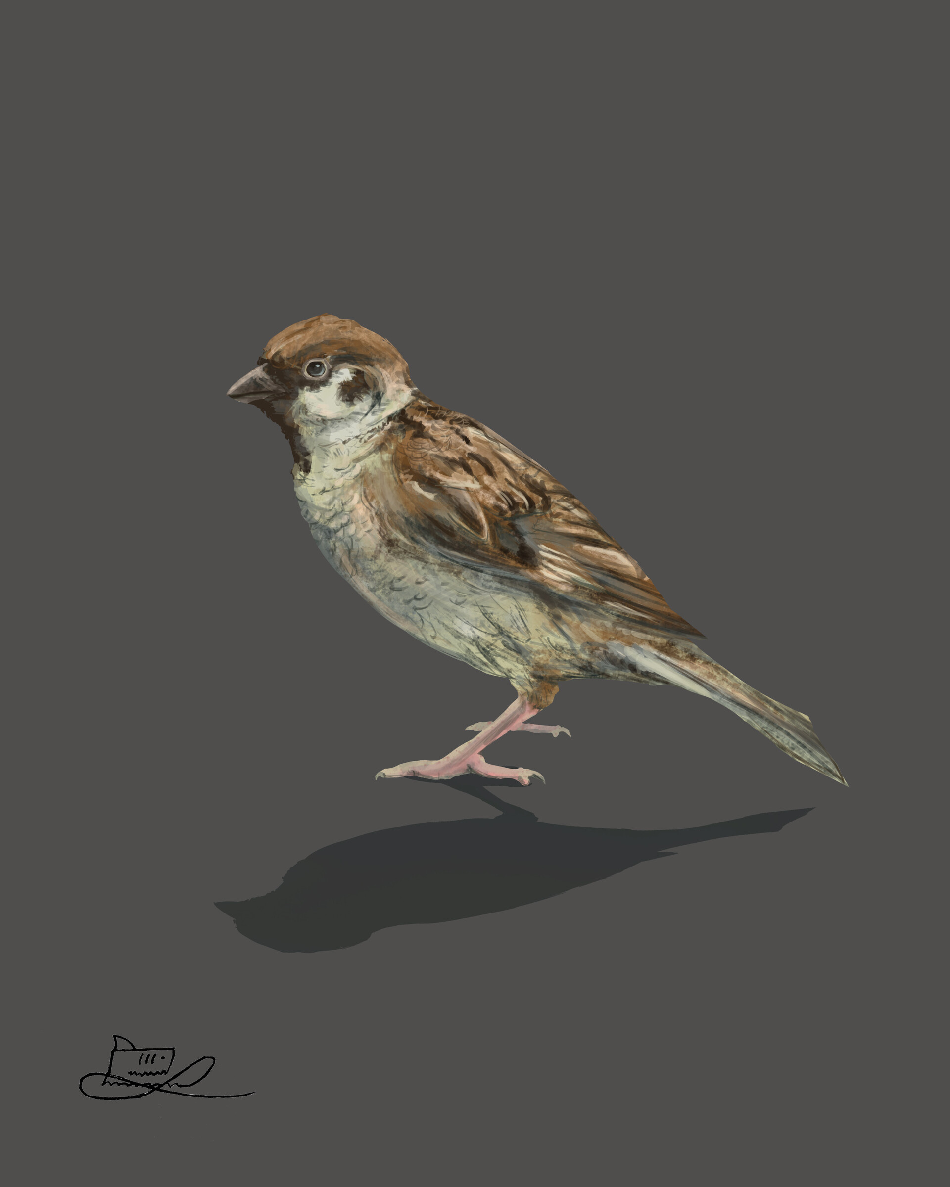 ArtStation - Passer domesticus