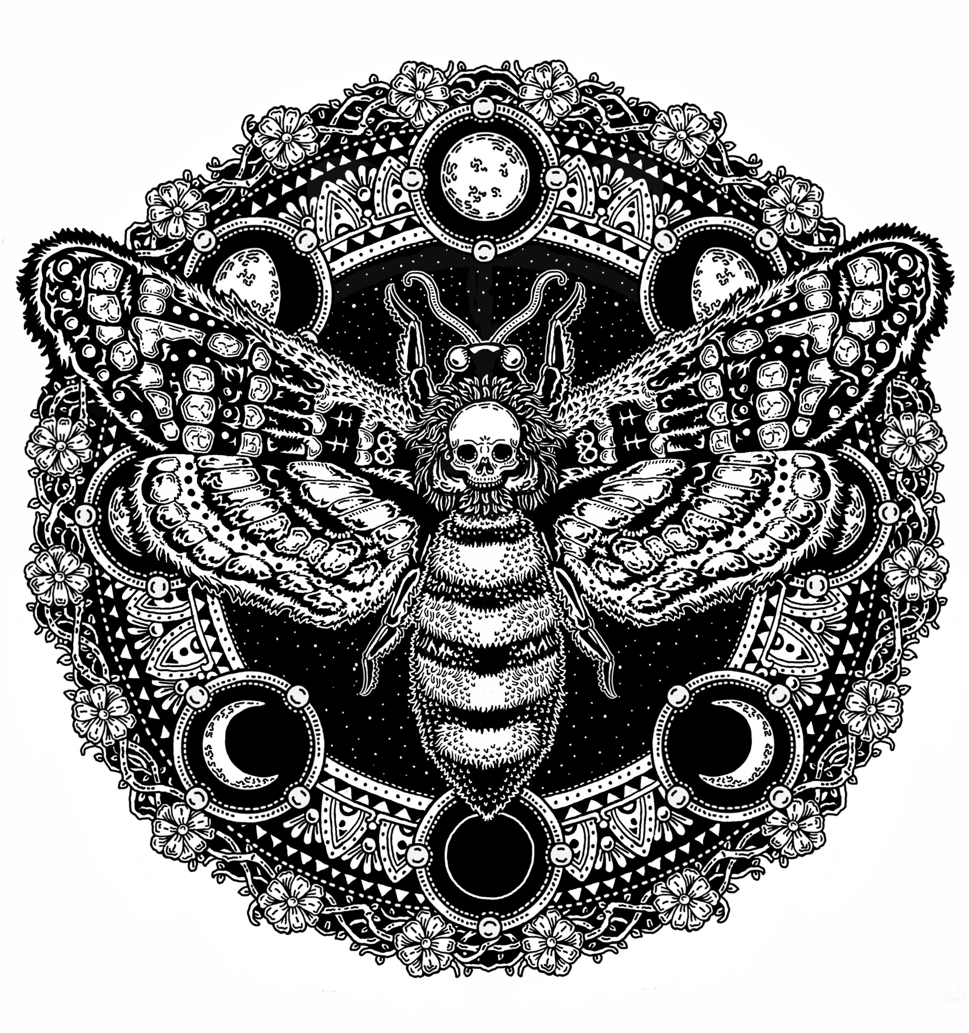 death moth coloring pages