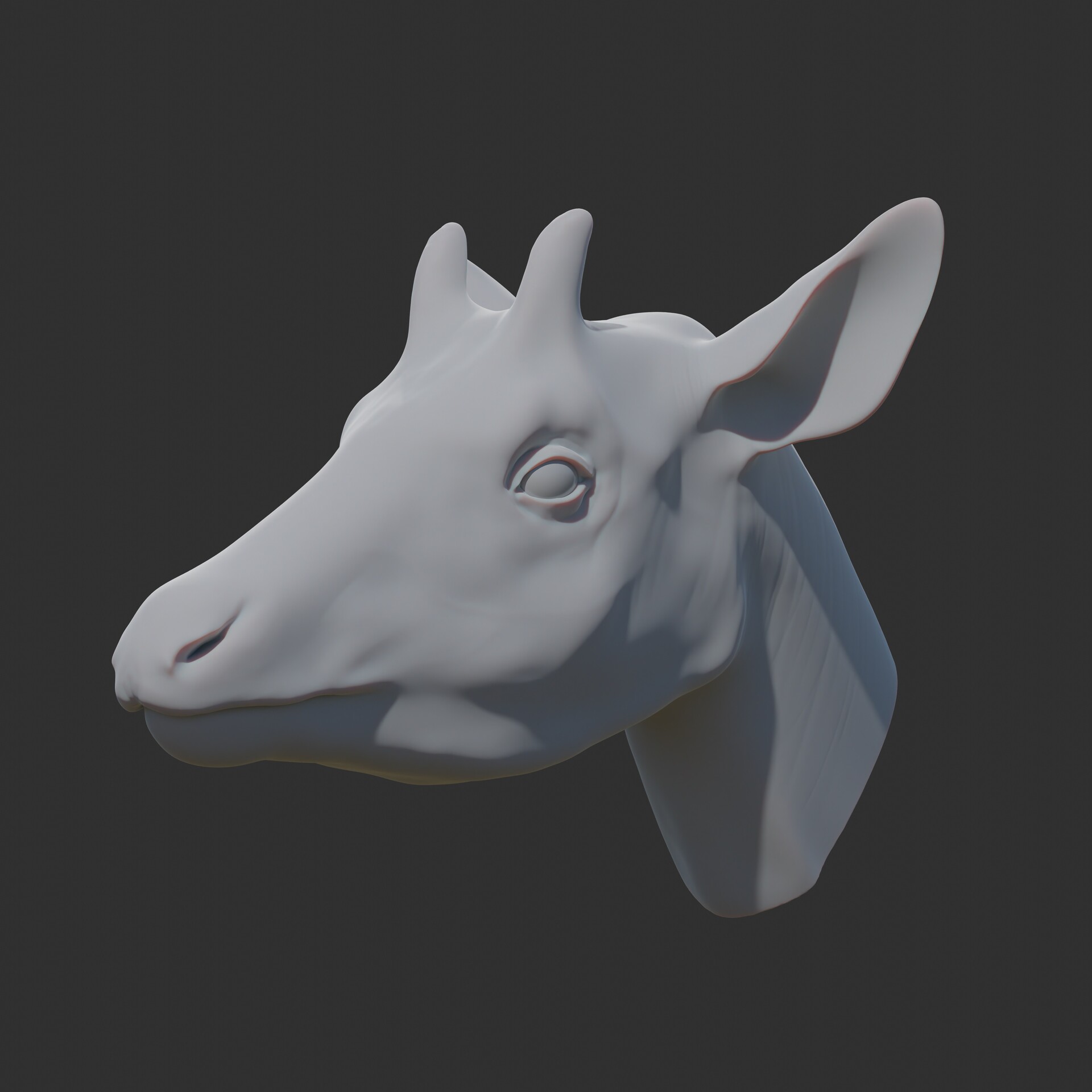 ArtStation - ZBrush practice