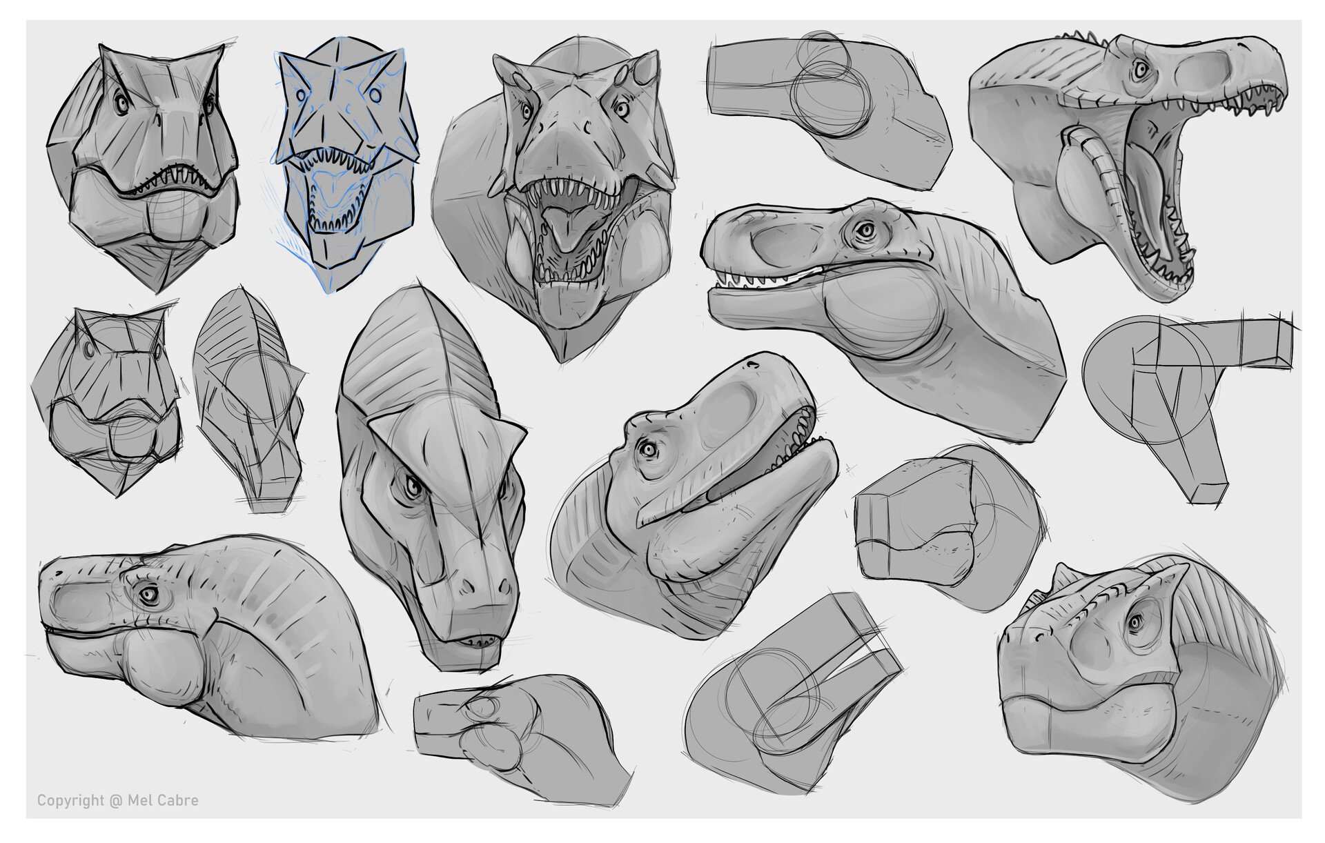 ArtStation - Theropod Head Angle References