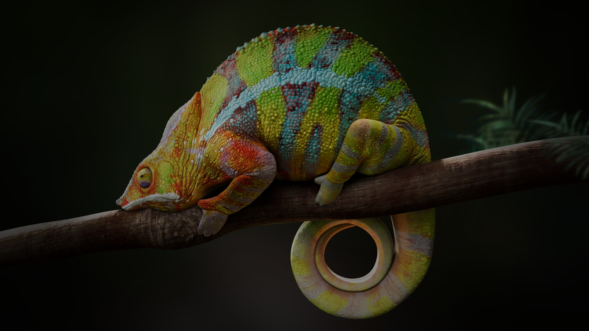 ArtStation - Hyper-realistic panther chameleon model