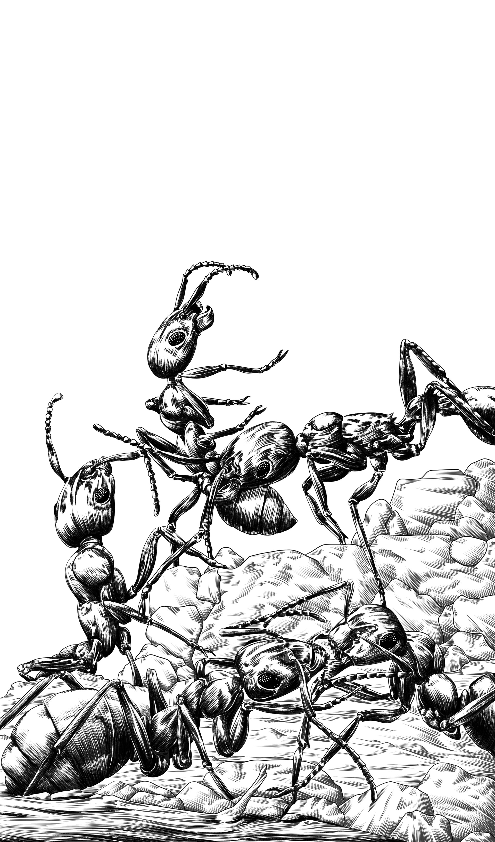 ArtStation - war of the ants
