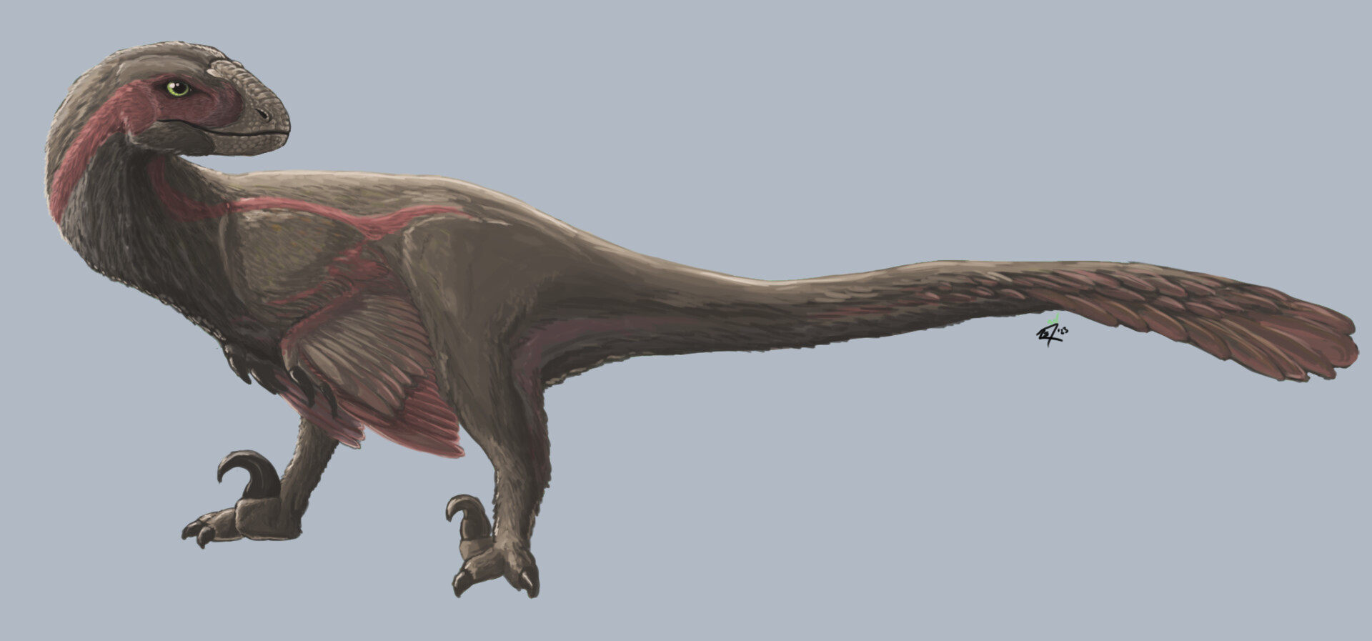 ArtStation - Danger floof (Arctic dromaeosaur? idk)