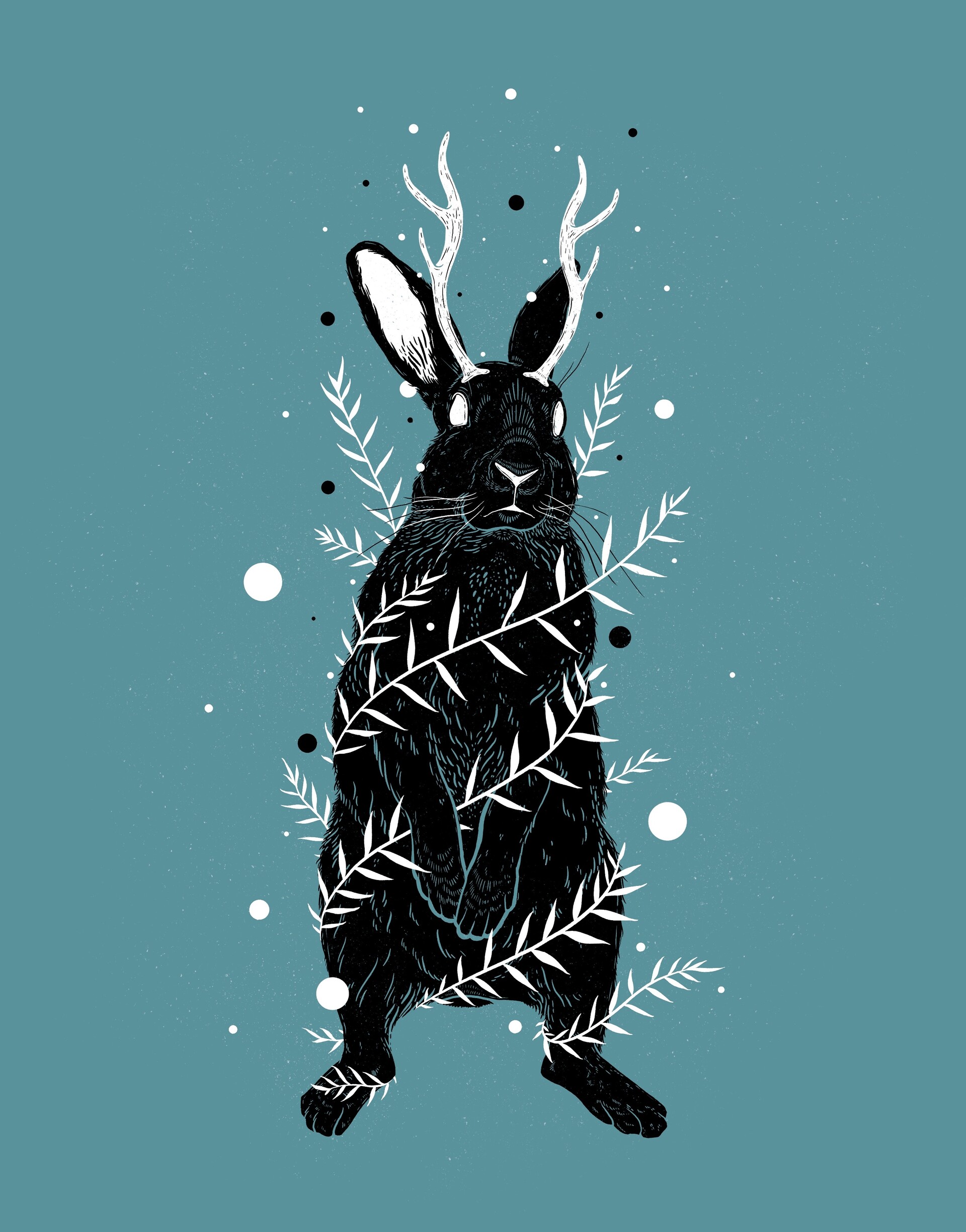 ArtStation - Jackalope Illustration