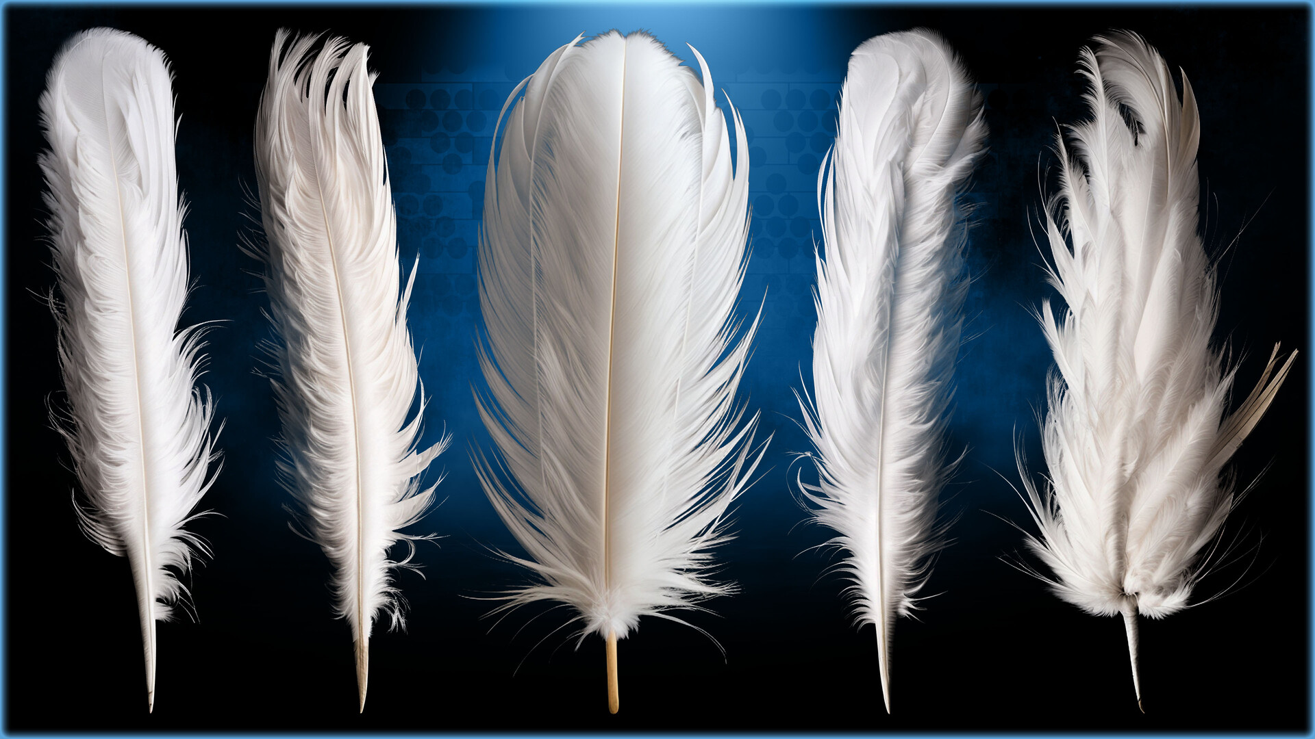 T - World - 50 Realistic Feather (MEGA Bundle) - Vol 1