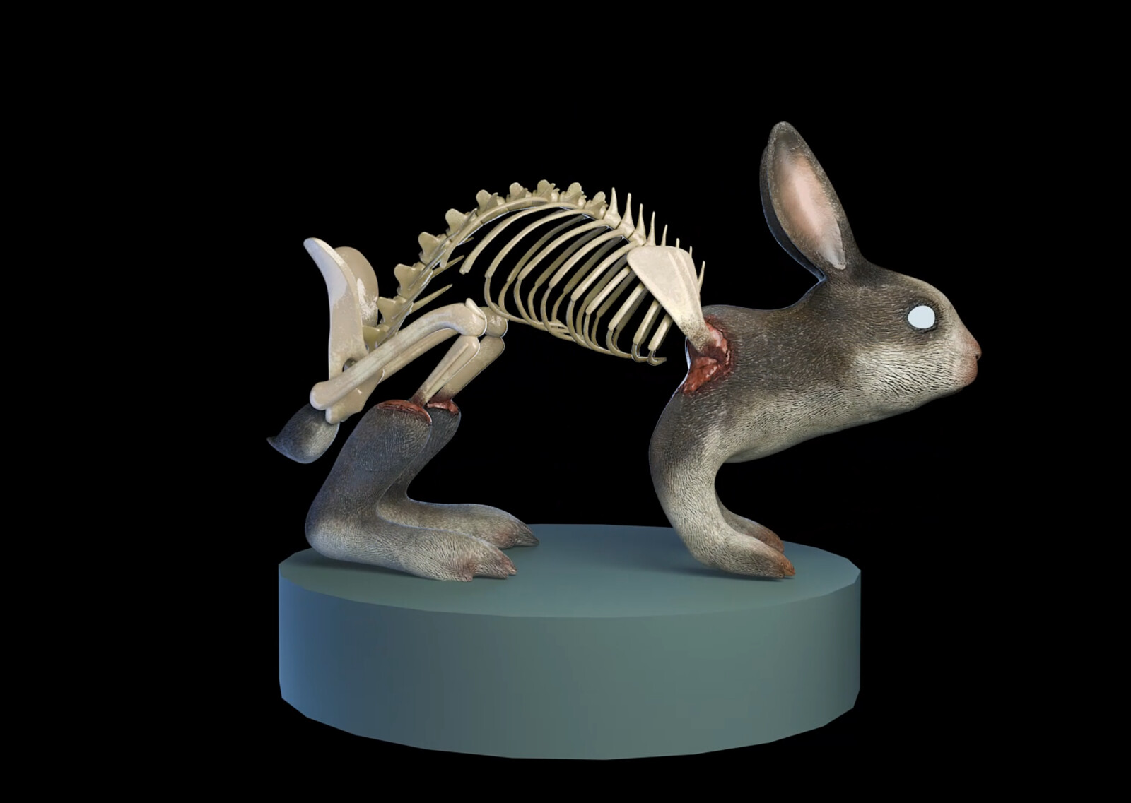 Aryn Chu - The Skeleton Rabbit: Model and texture