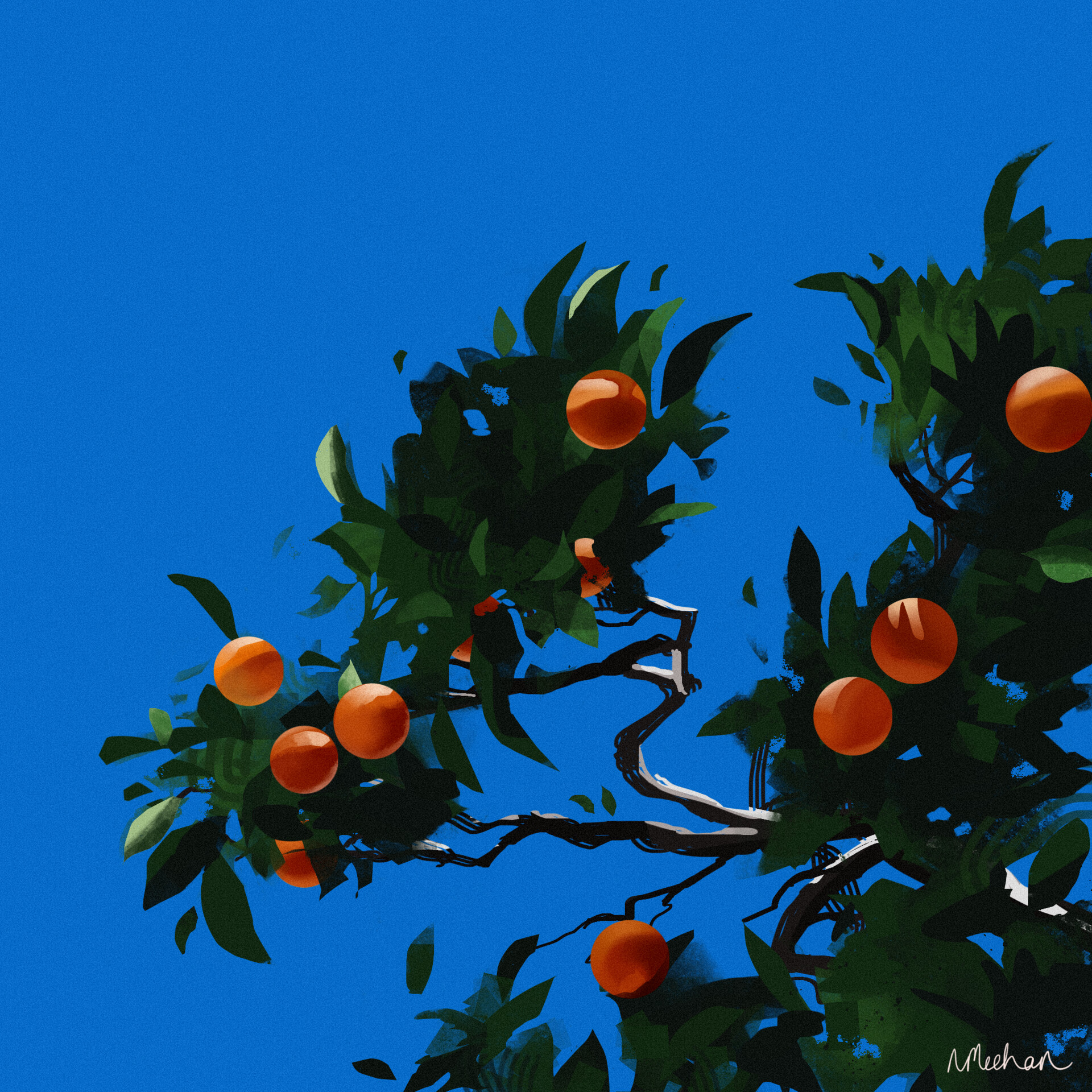 ArtStation - Oranges Study