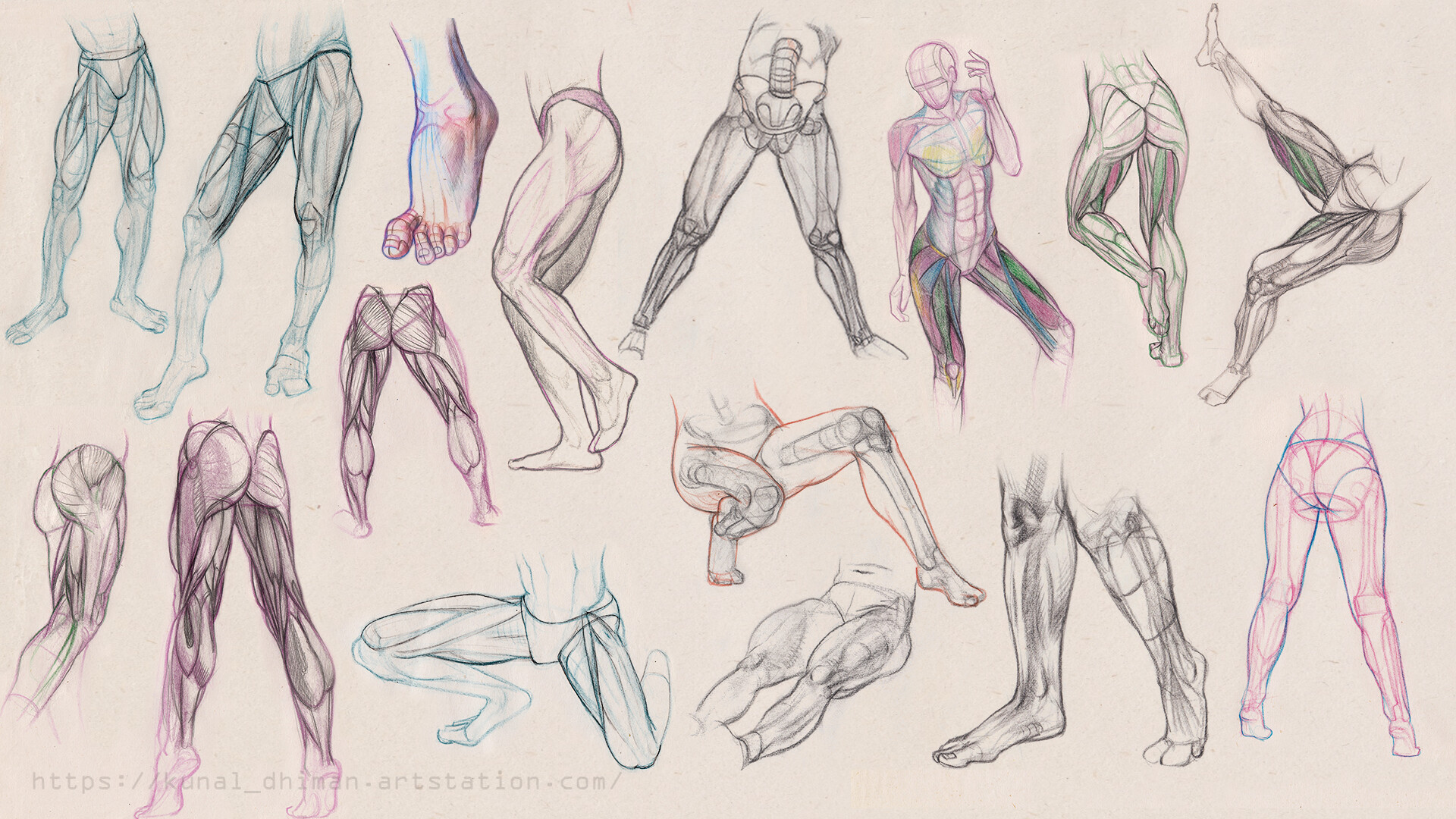 ArtStation - Limbs Anatomy Practice
