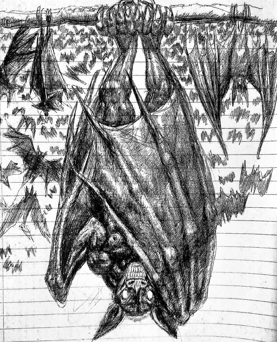 ArtStation - Man bat Ink