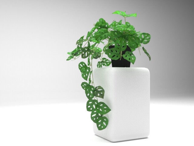 ArtStation - Monstera