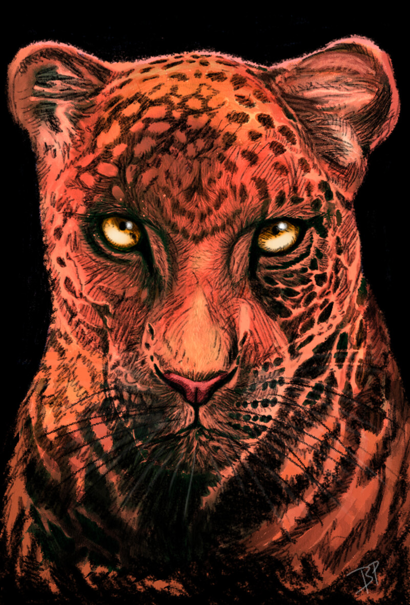 ArtStation - BP Studio