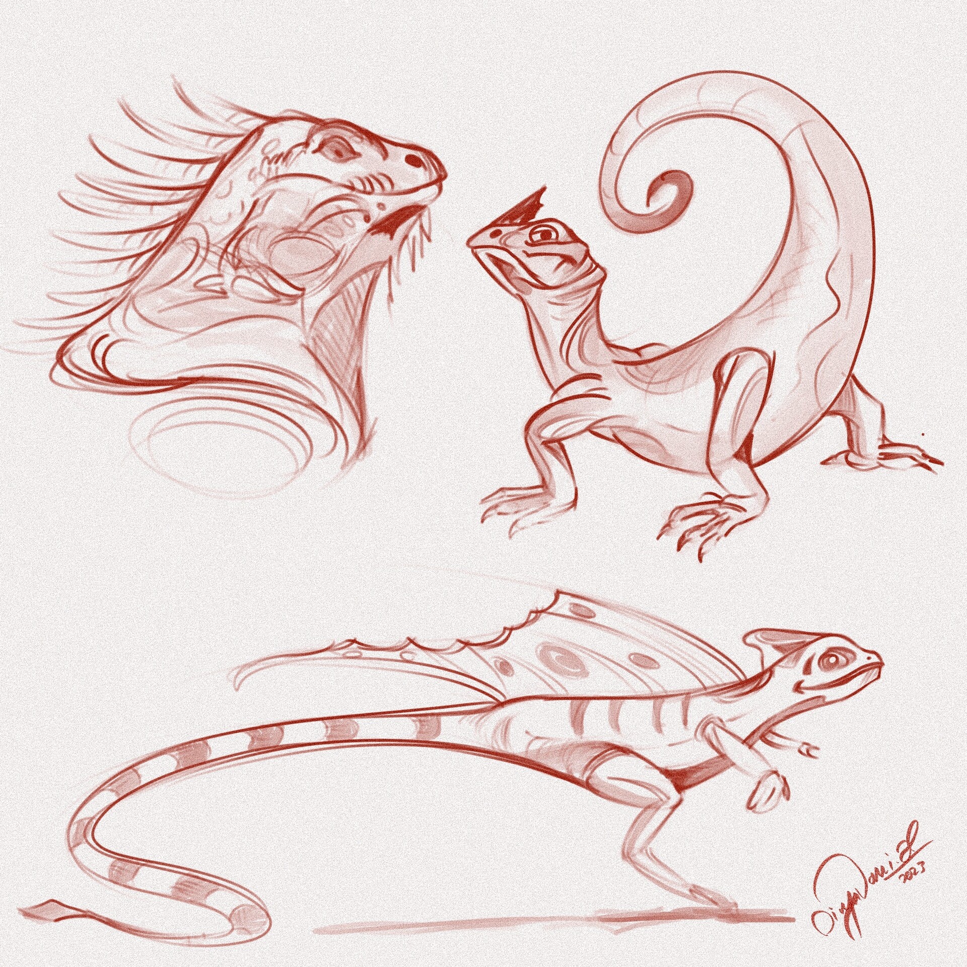 ArtStation - Reptile concept study