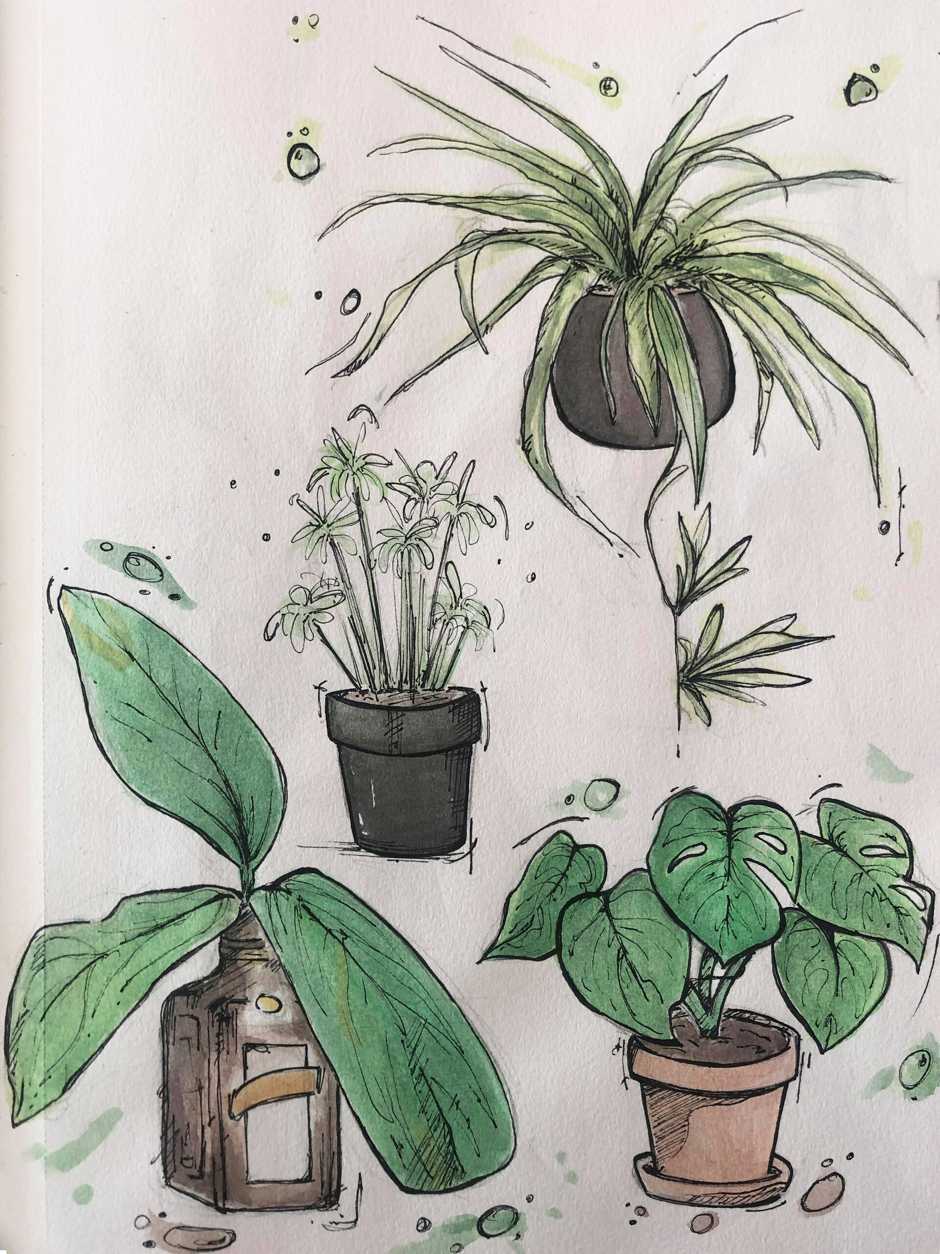 ArtStation - Plant studie