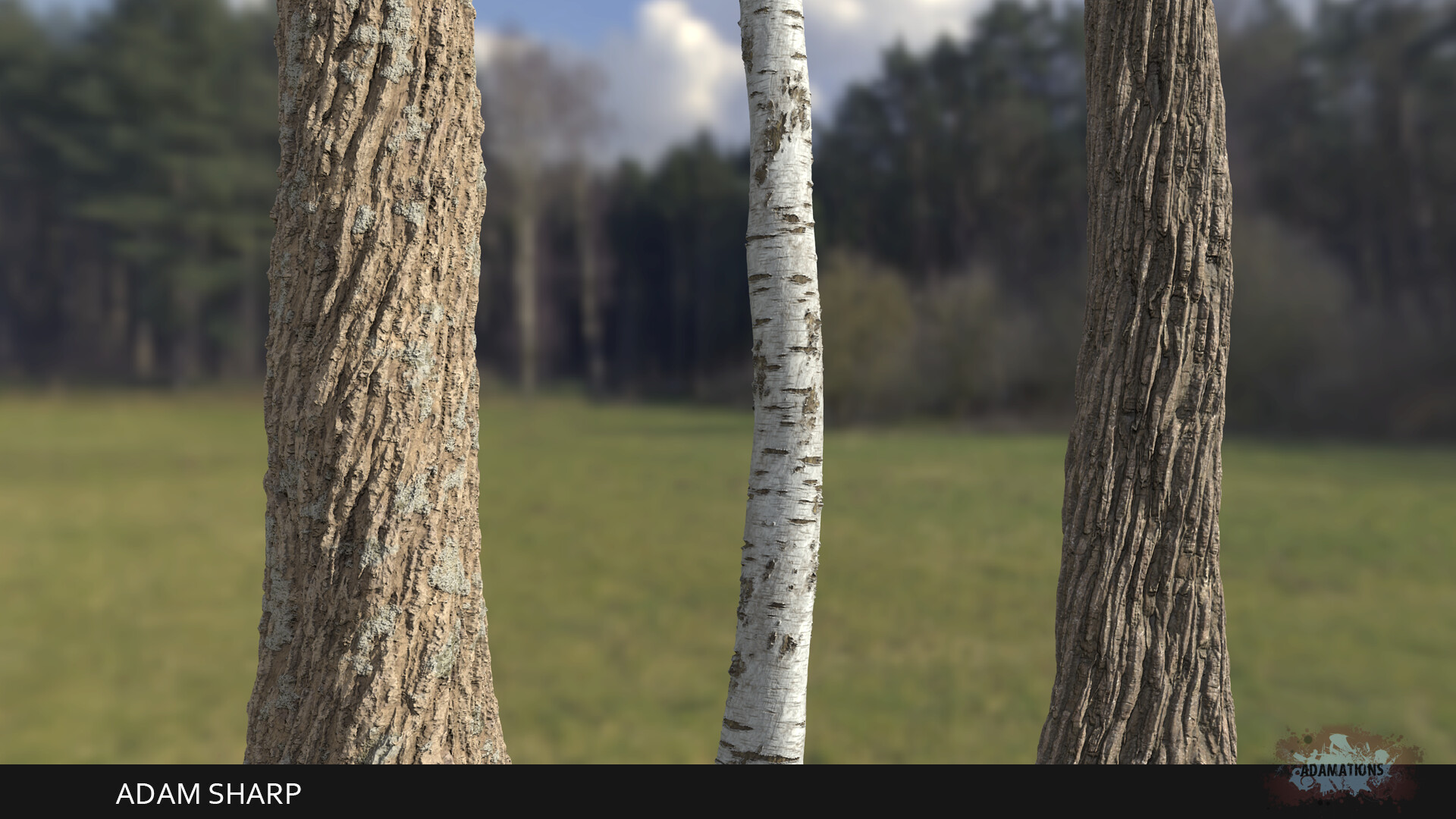 ArtStation - Tree Bark Materials