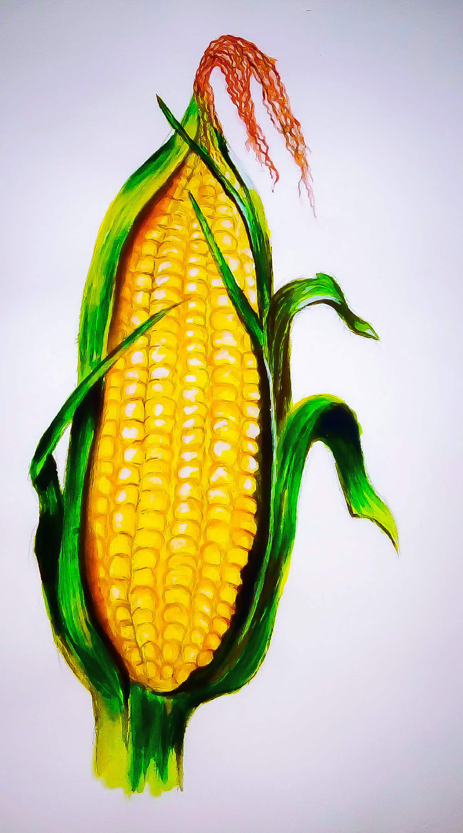 ArtStation - The Maize Art