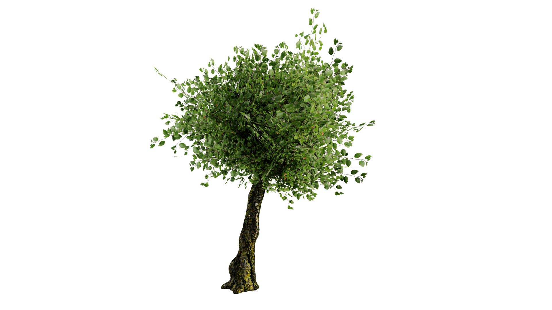 ArtStation - Just low poly tree