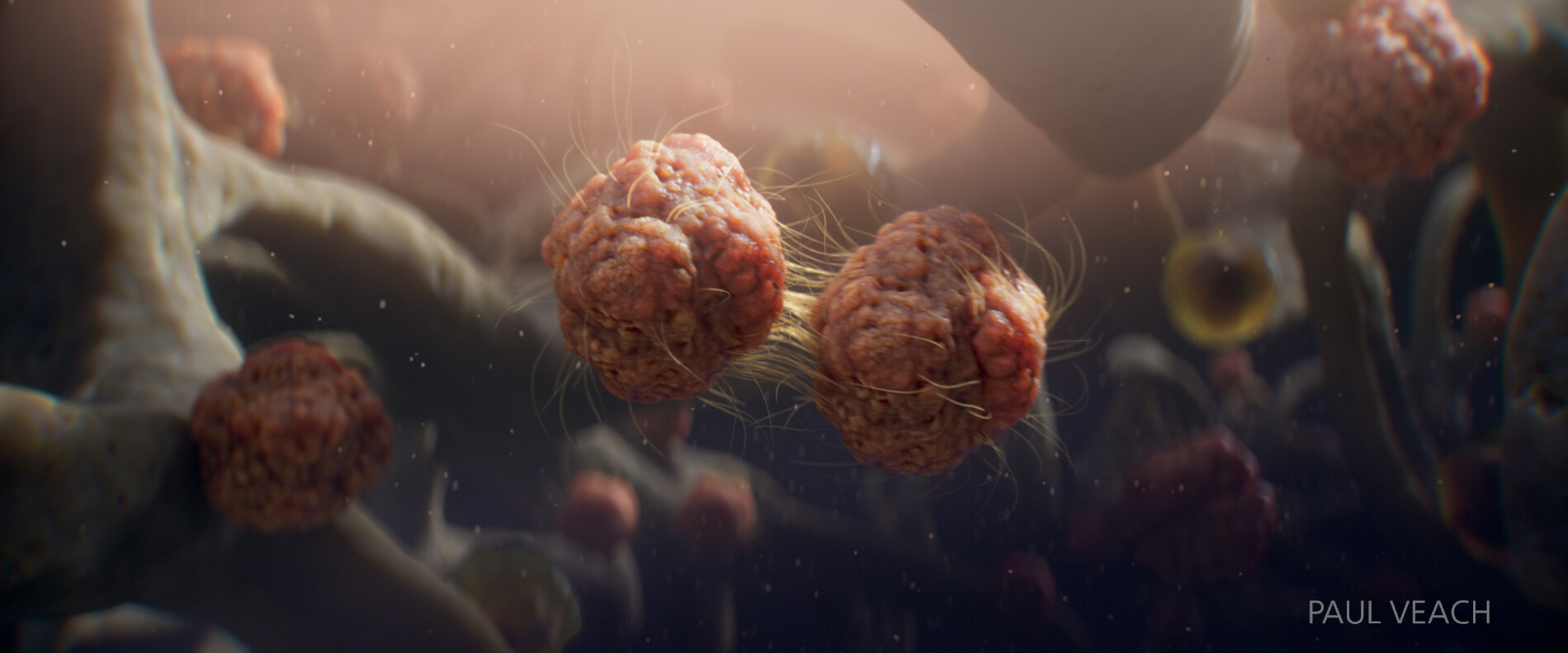 ArtStation - Cell Division