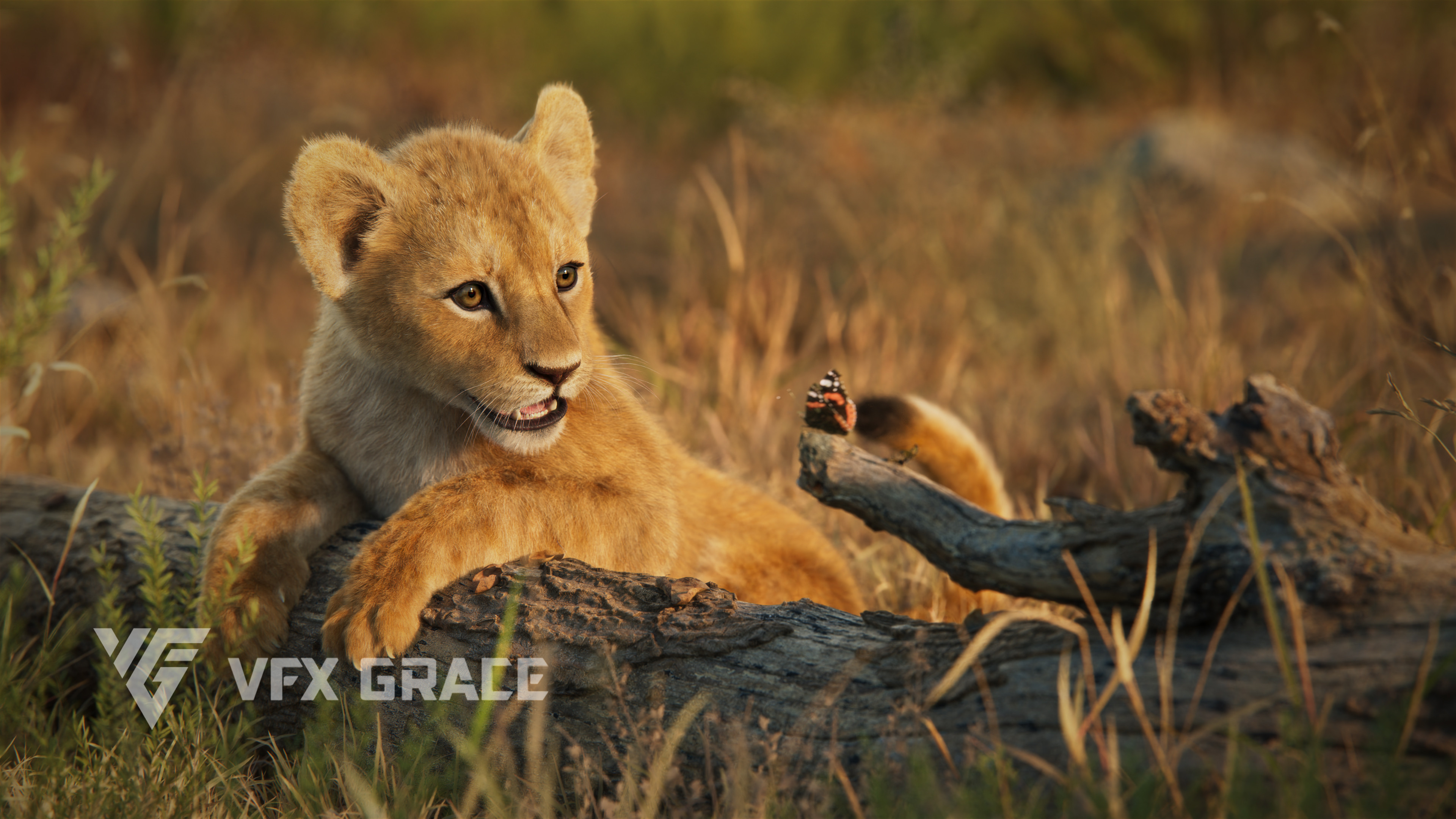 VFX models - Lion Cub Animated