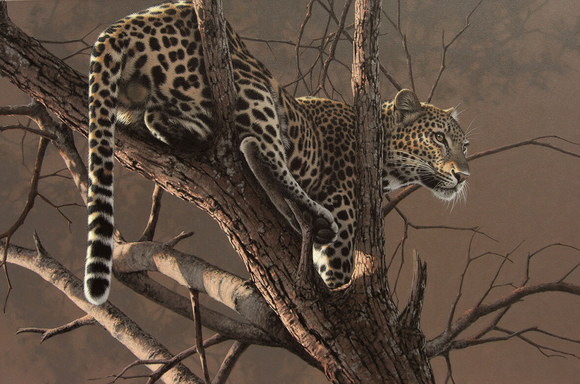 ArtStation - "Treetop Tom"