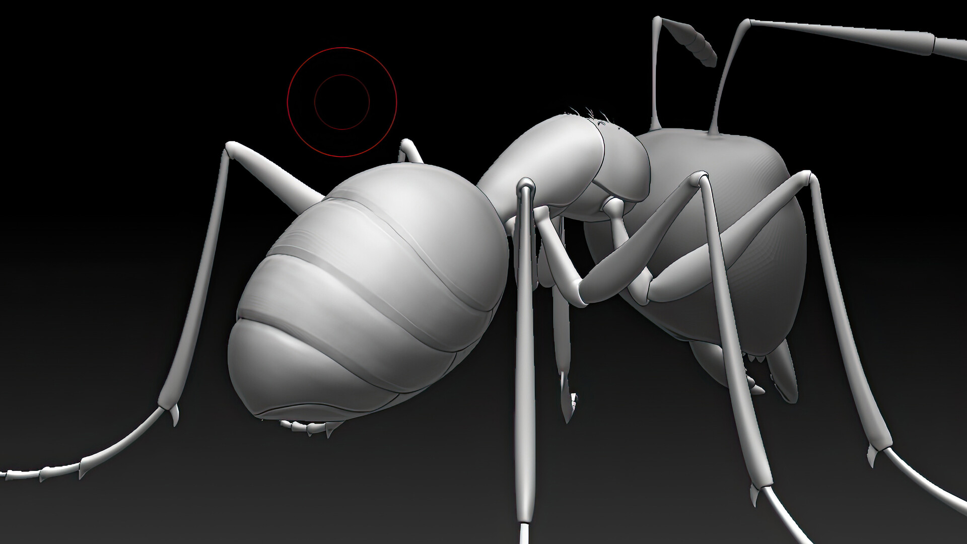 Massimo Bongiorno - Portfolio - Minuscule : Red Ants Texturing