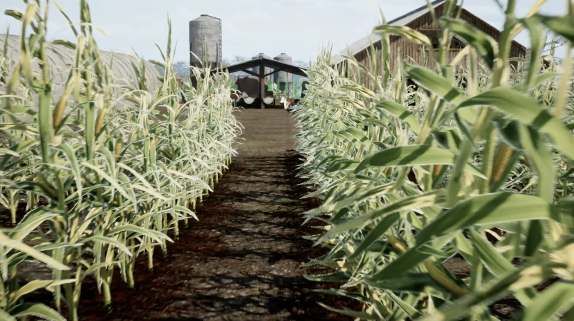 Hannah Winn - Lush Farm