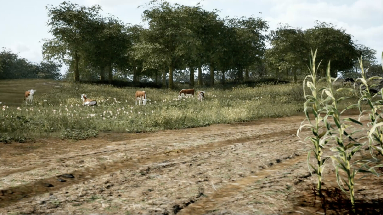 Hannah Winn - Lush Farm